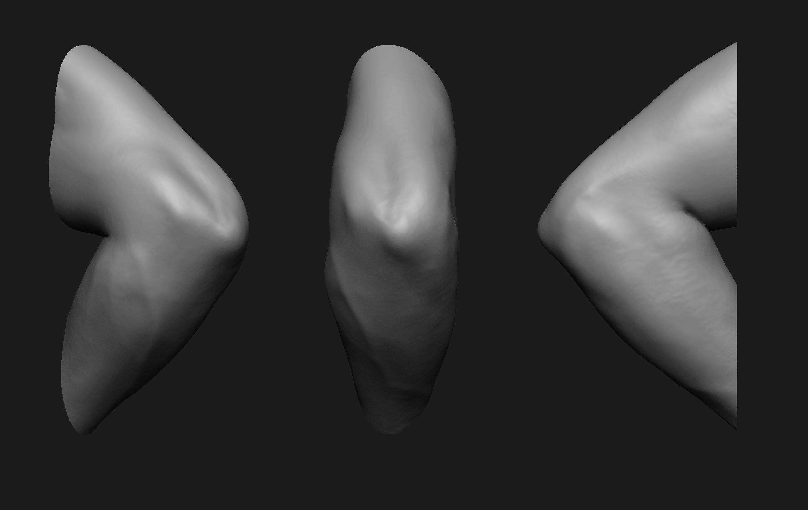 Elbow Set Anatomy Reference 3D model 3D printable | CGTrader