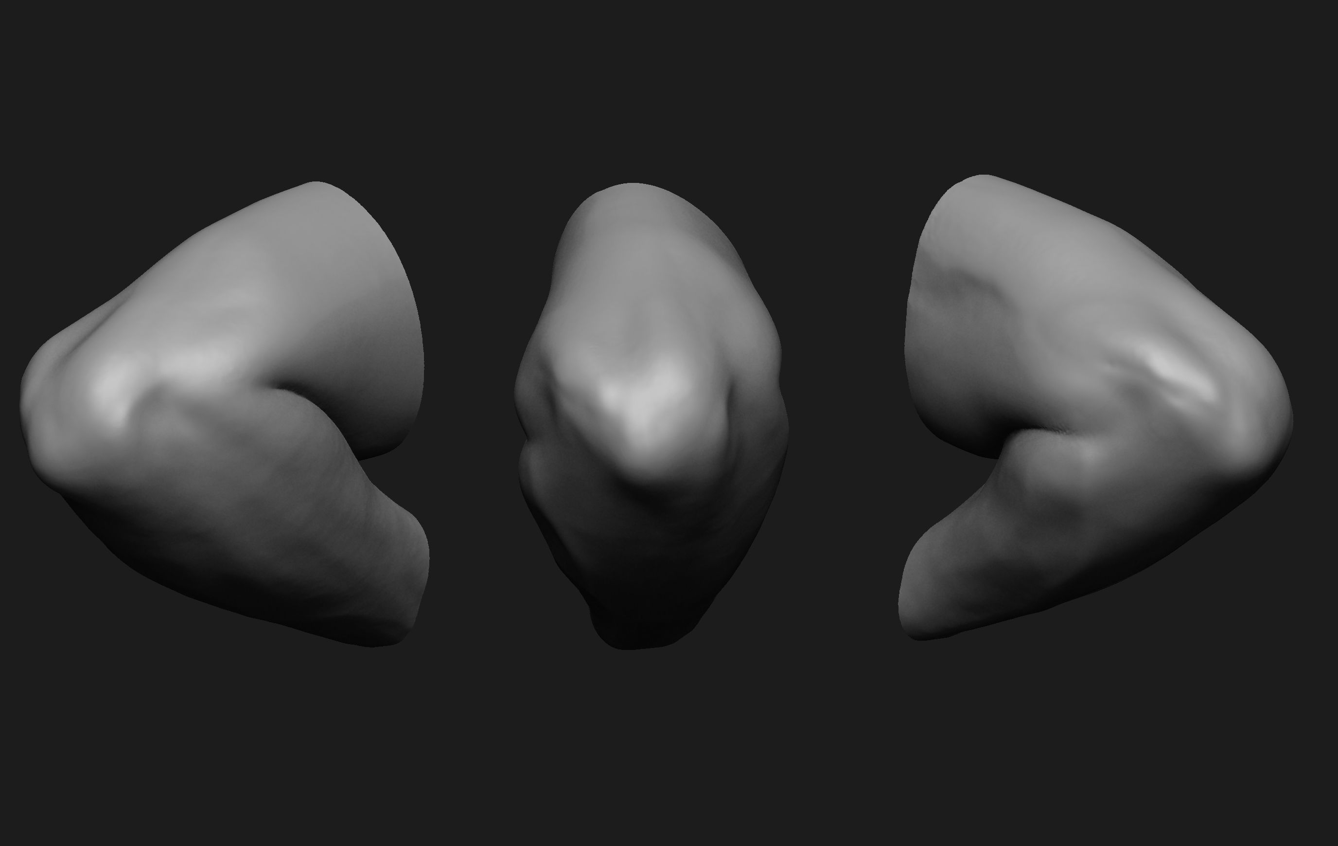 Elbow Set Anatomy Reference 3D model 3D printable | CGTrader