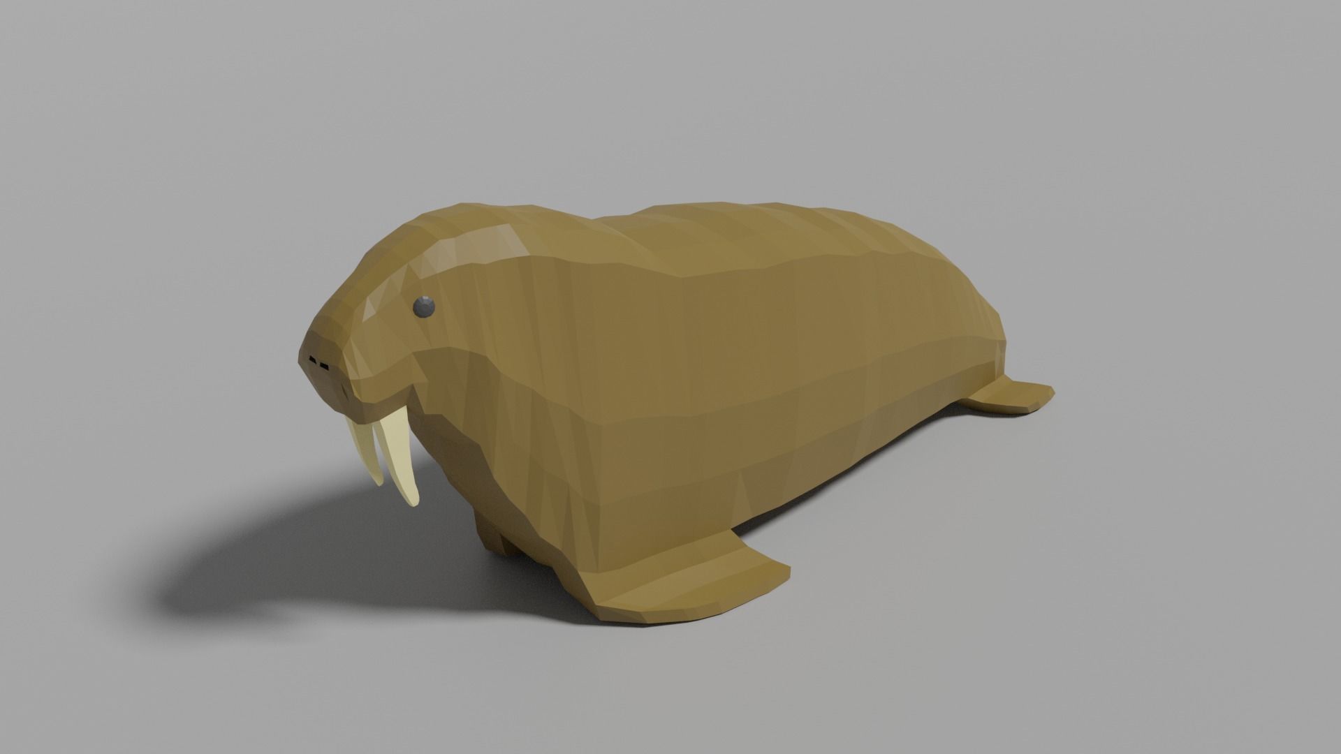 Cartoon Walrus 3D asset | CGTrader