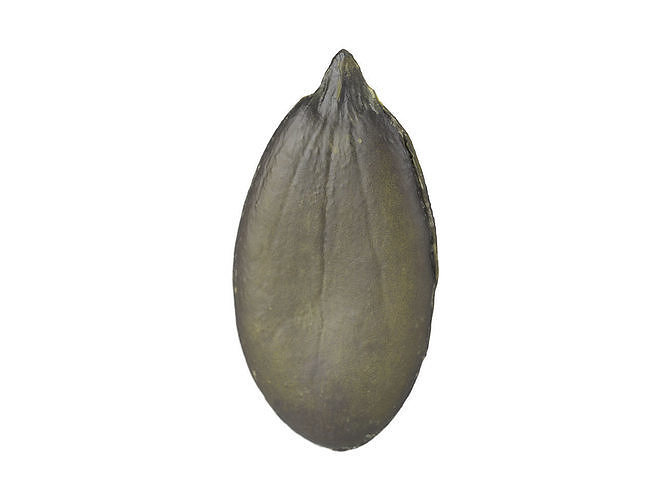 Photorealistic Pumpkin Seed 3D Scan 3D model | CGTrader