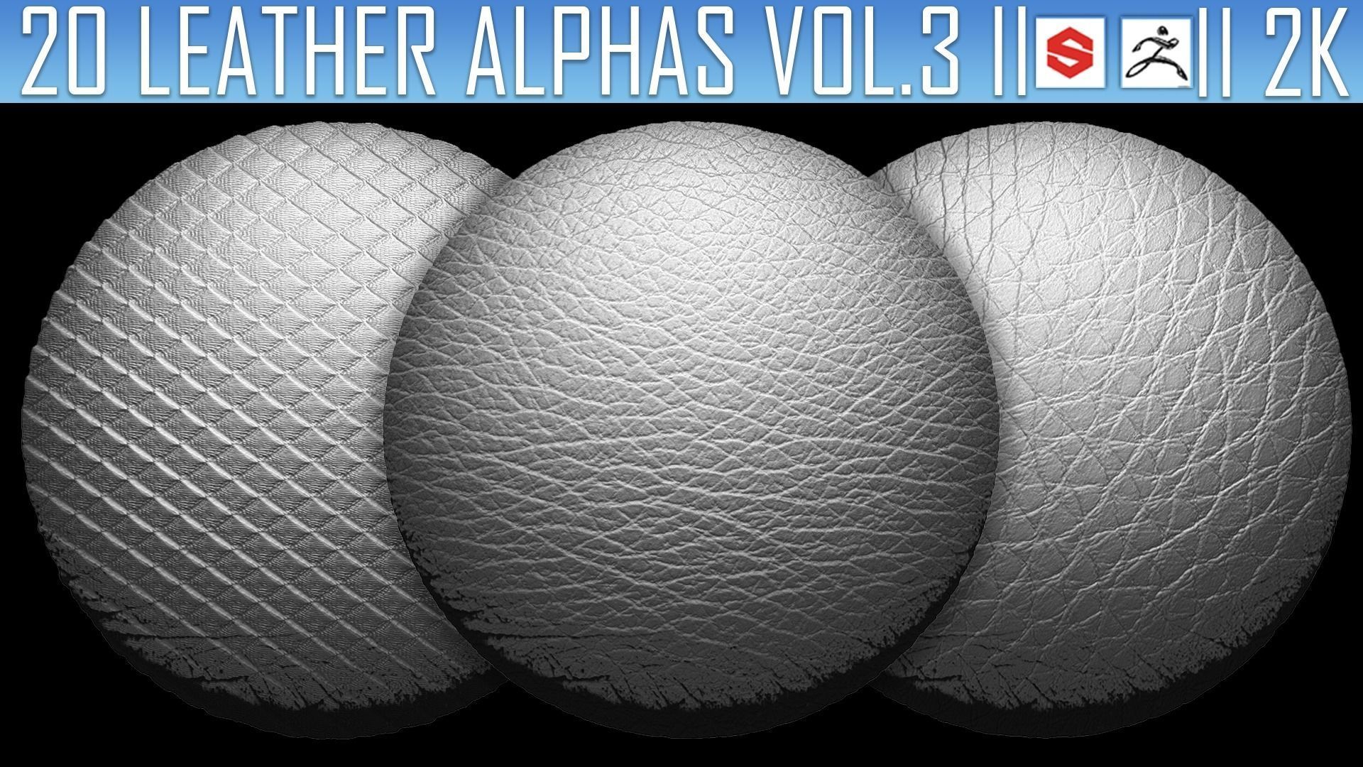 Leather Alphas ZBrush PSD 3D model | CGTrader
