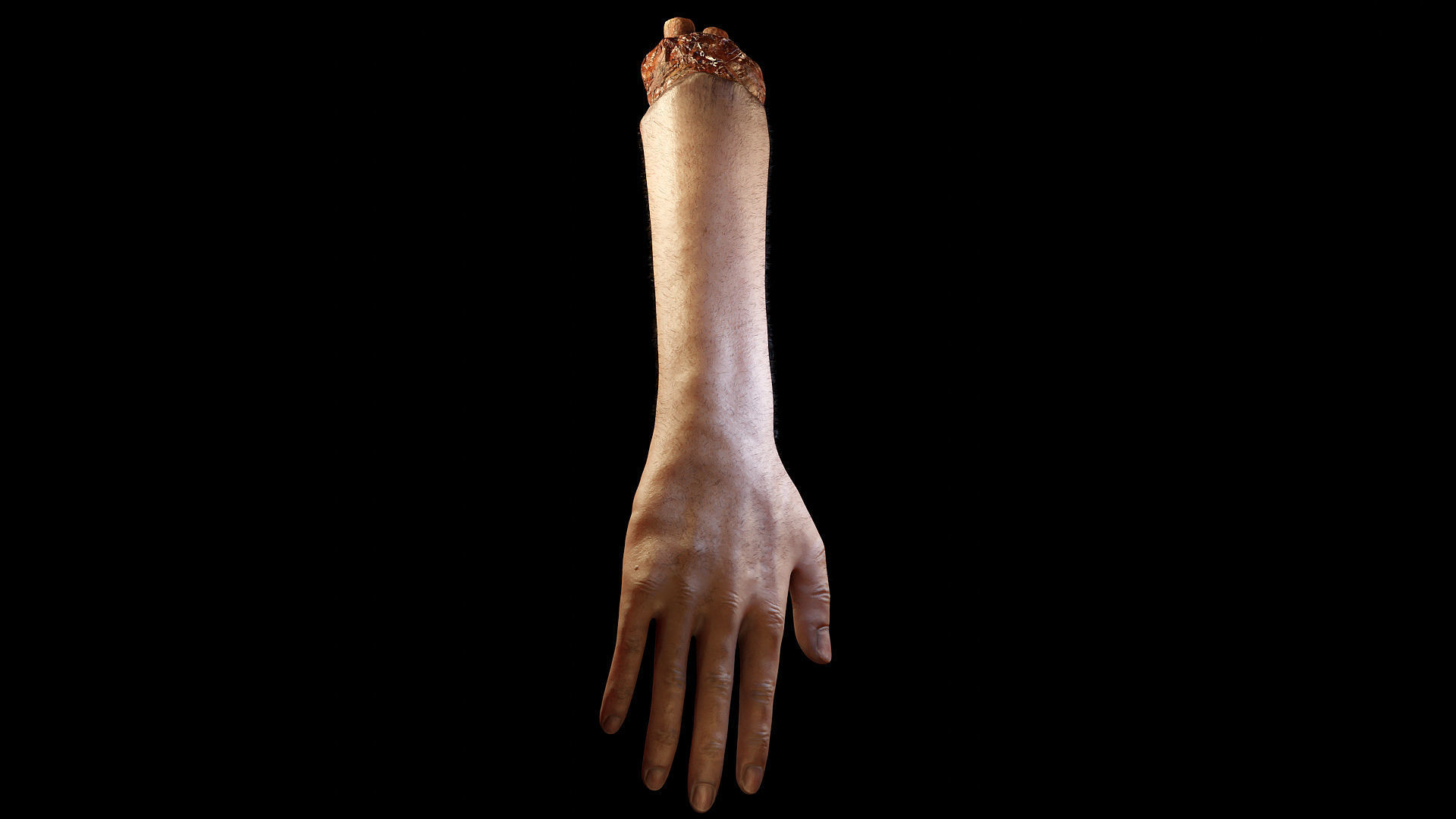 3D model Hand -Arm Severed low poly - Rigged VR / AR / low-poly rigged ...