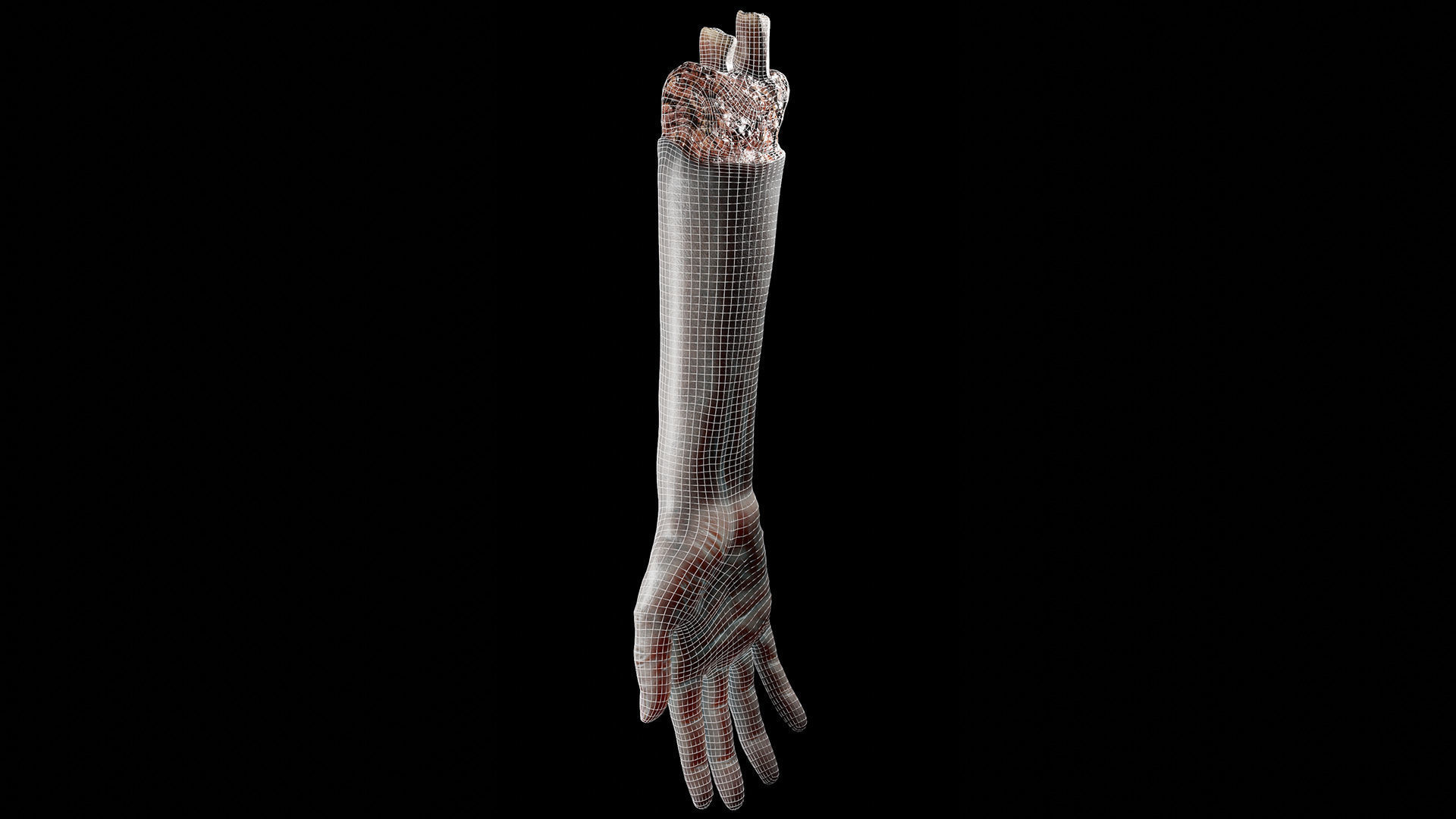 3D model Hand -Arm Severed low poly - Rigged VR / AR / low-poly rigged ...