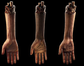 Rigged Hand 3D Models | CGTrader