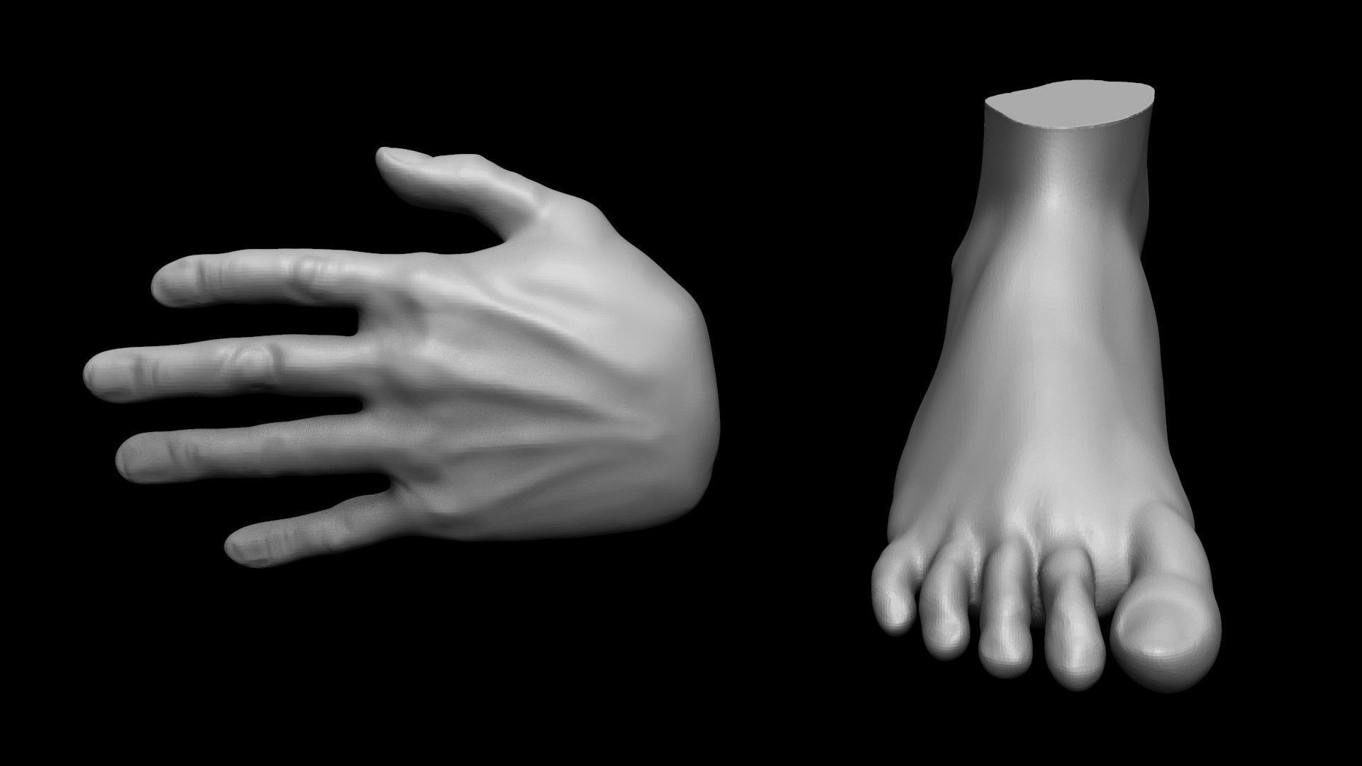 3D male hand and leg by Buzzzman 3D model | CGTrader