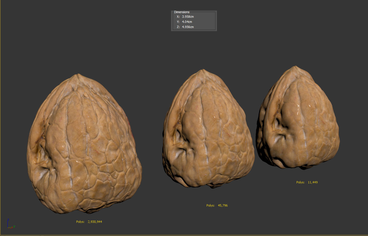 Walnut 3D model | CGTrader