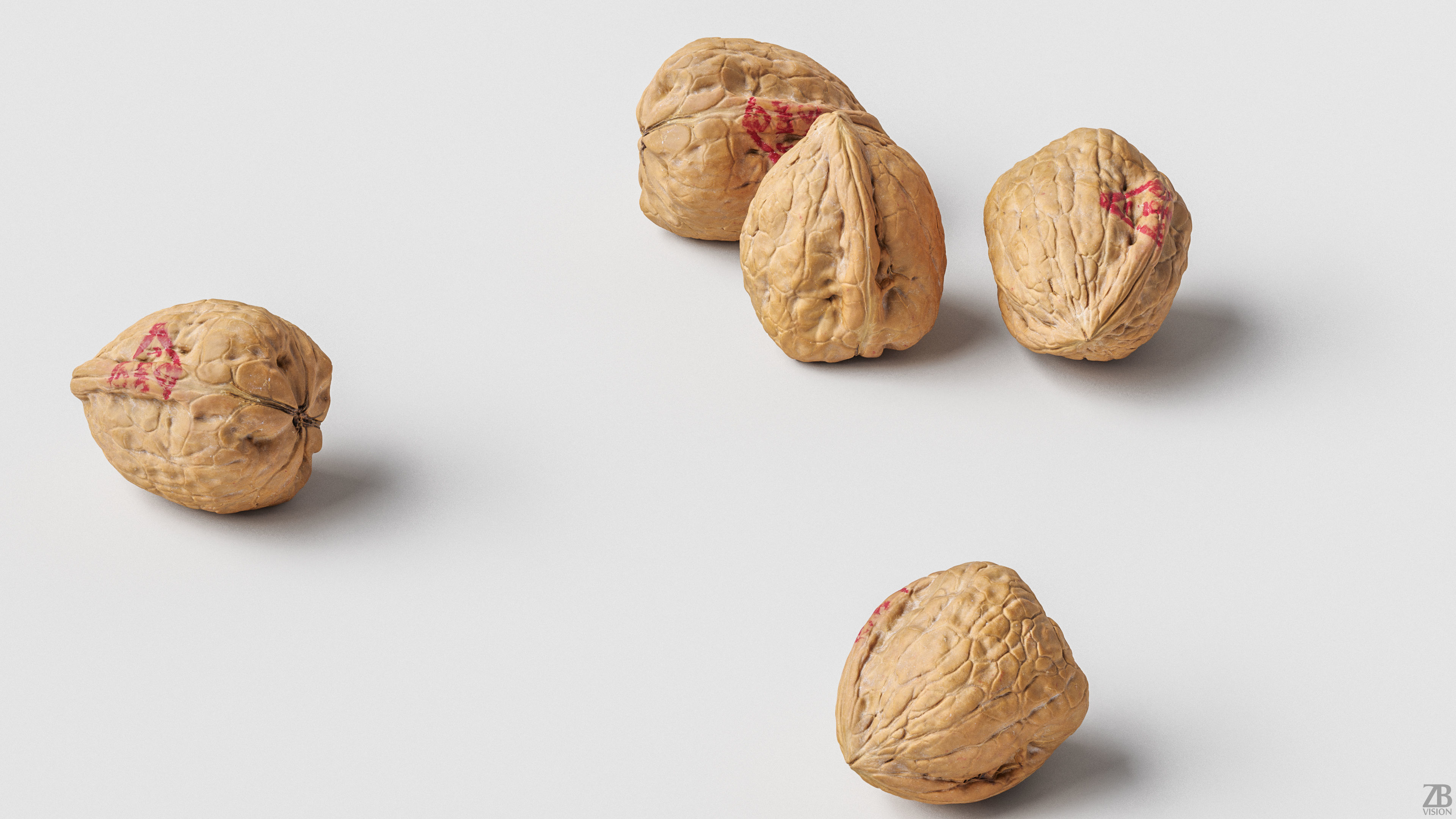 Walnut 3D model | CGTrader