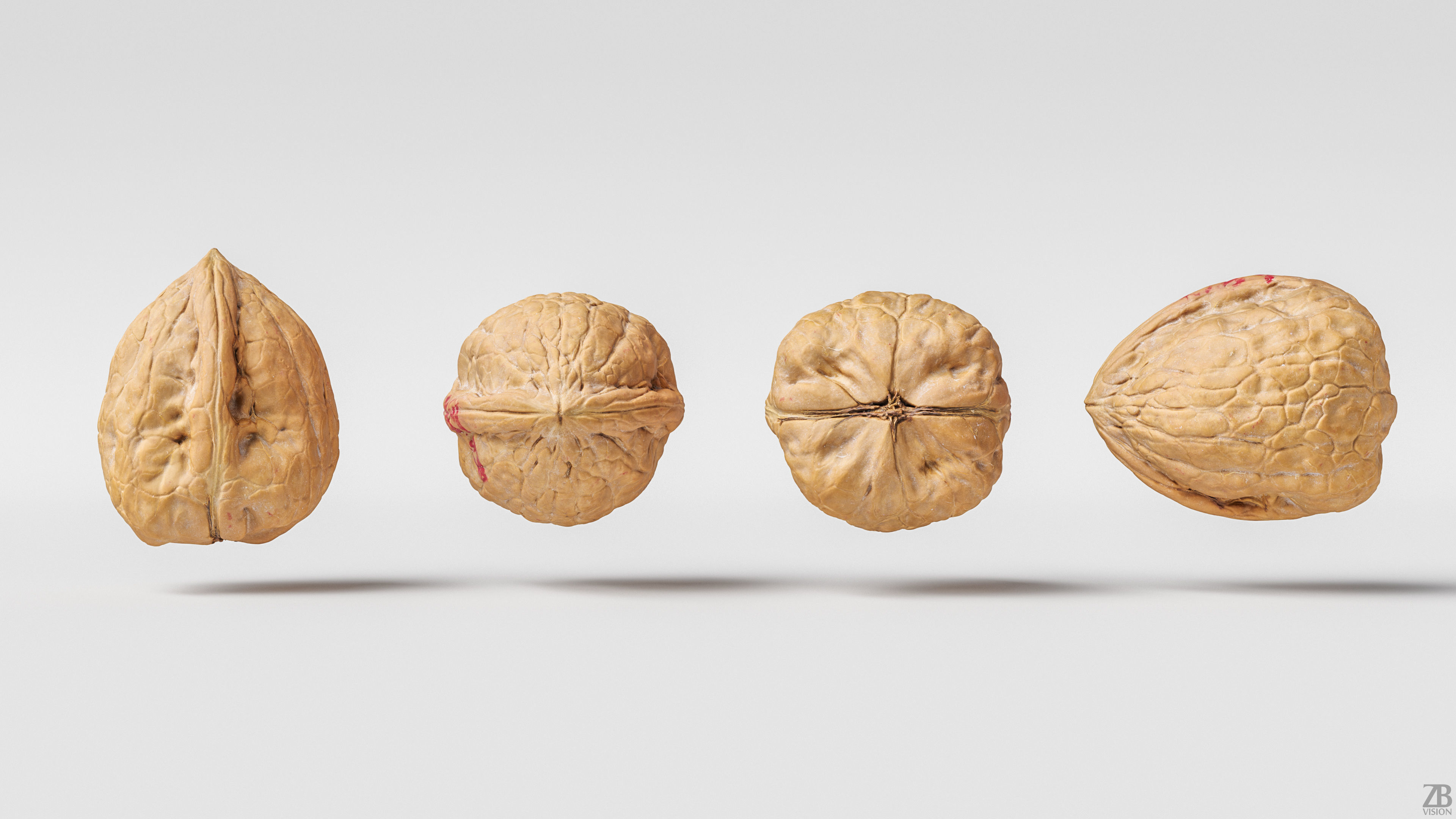 Walnut 3D model | CGTrader