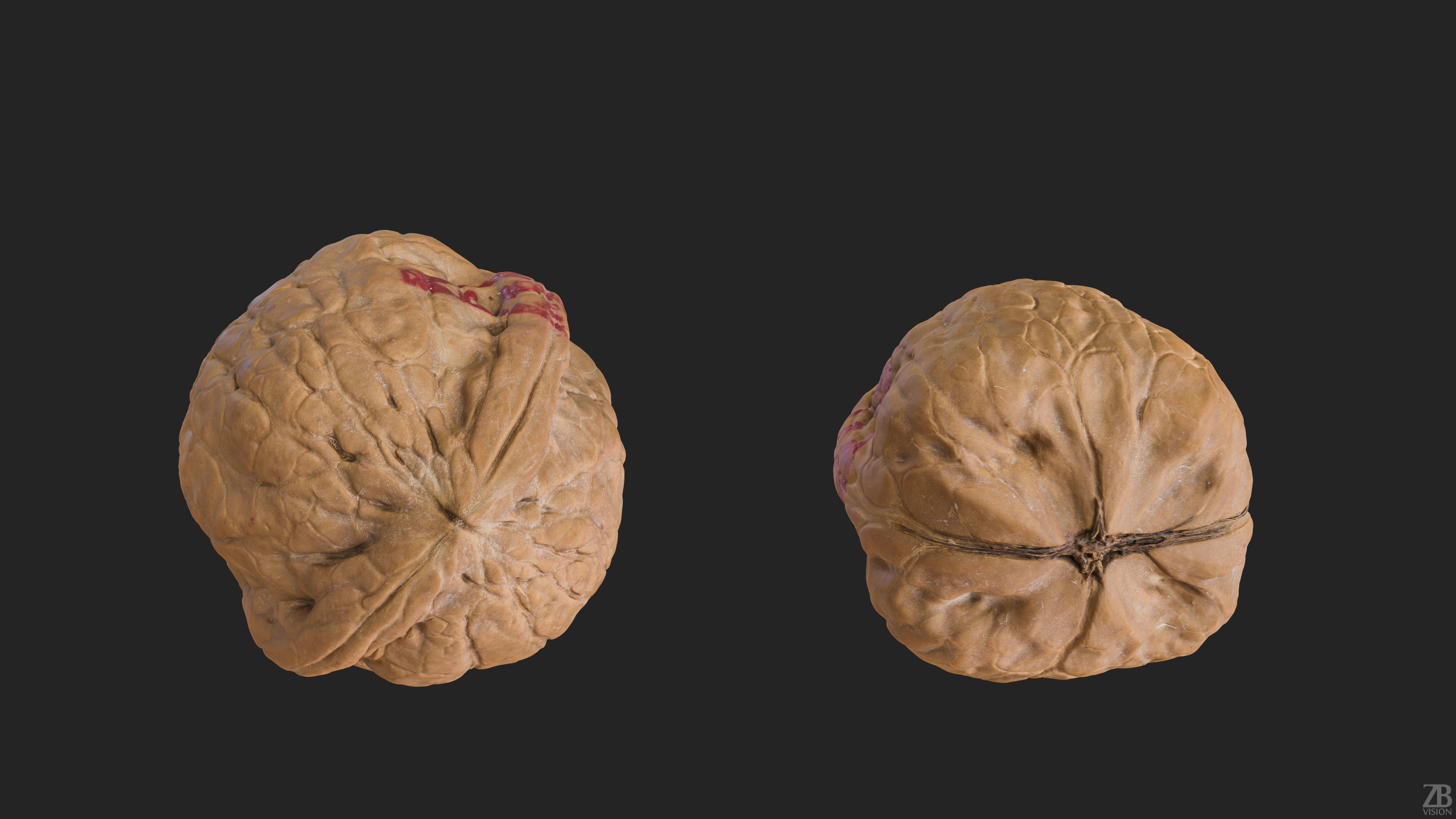Walnut 3D model | CGTrader