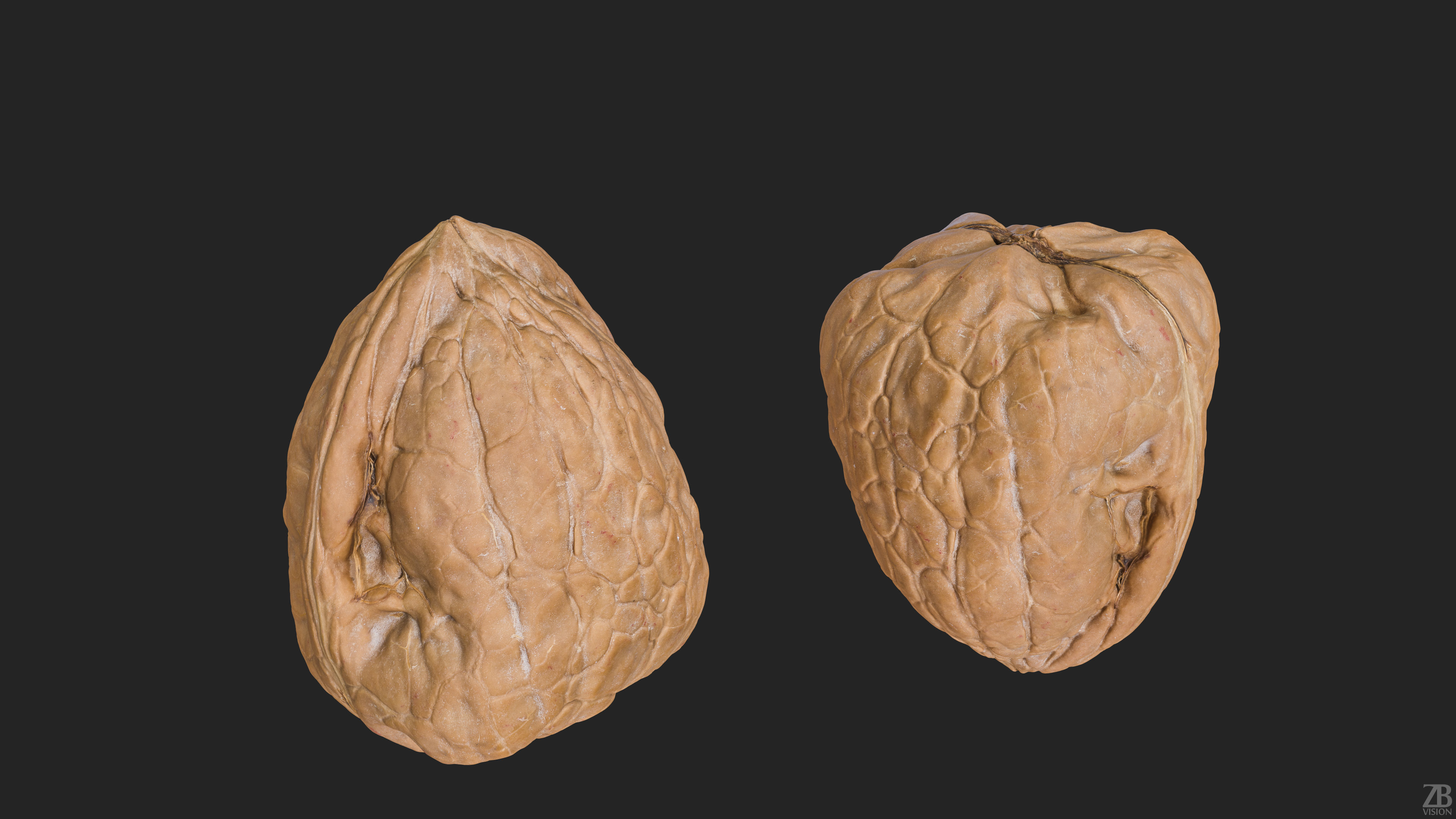 Walnut 3D model | CGTrader