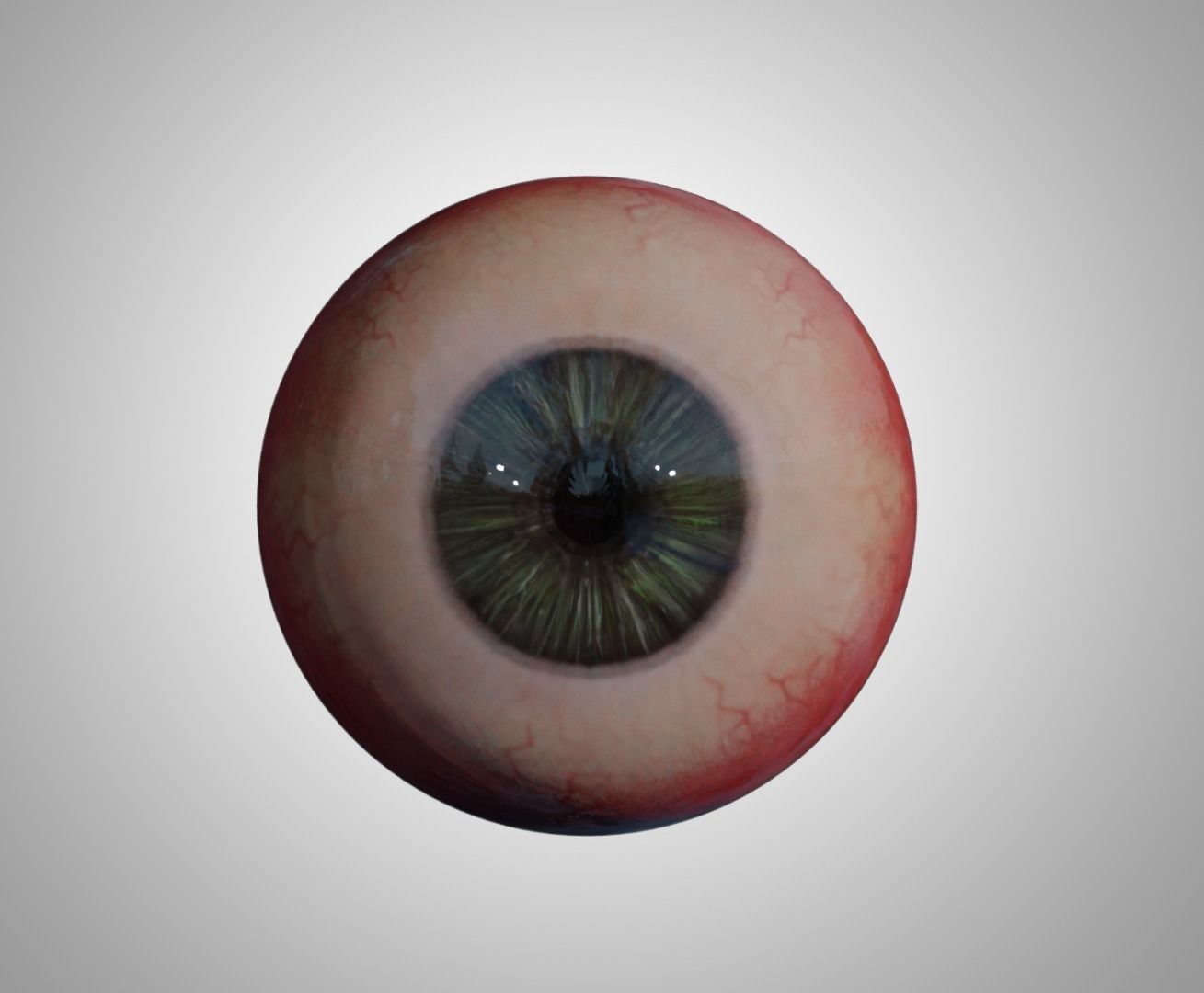 Eyes 3D model human eye free 3D model | CGTrader