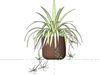 Revit Family pot plant - Three sizes- High quality 3D model 3D model ...