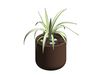 Revit Family pot plant - Three sizes- High quality 3D model 3D model ...