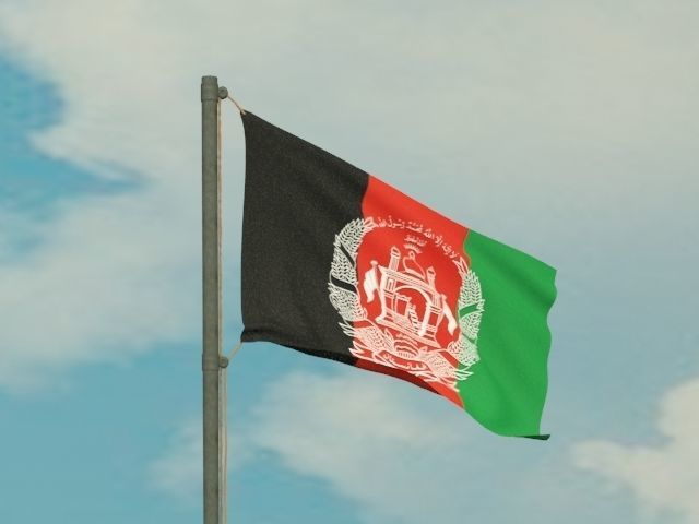 Flags of all 196 countries 3D model rigged | CGTrader