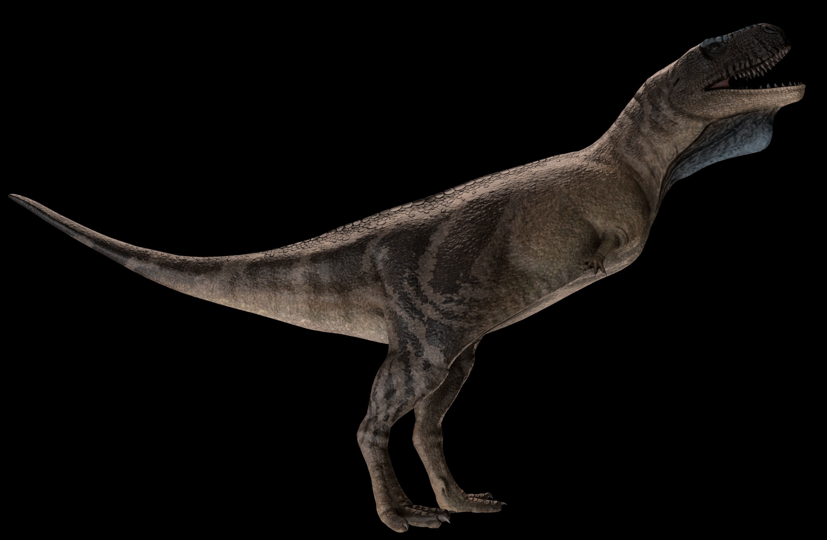 3D model Skorpiovenator Dinosaur Asset Pack VR / AR / low-poly rigged ...