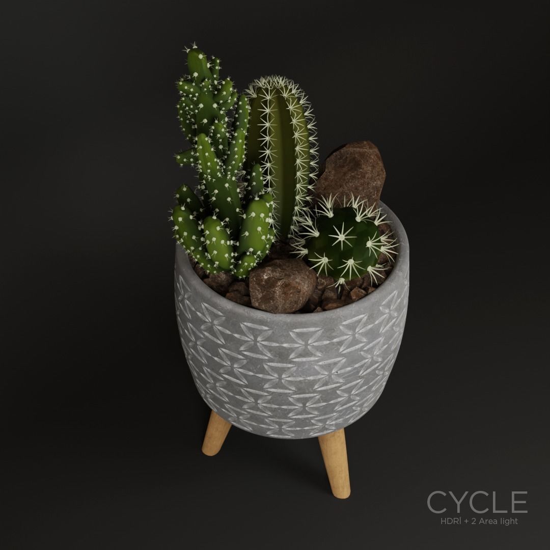 Realistic Cactus Prop 3D model | CGTrader