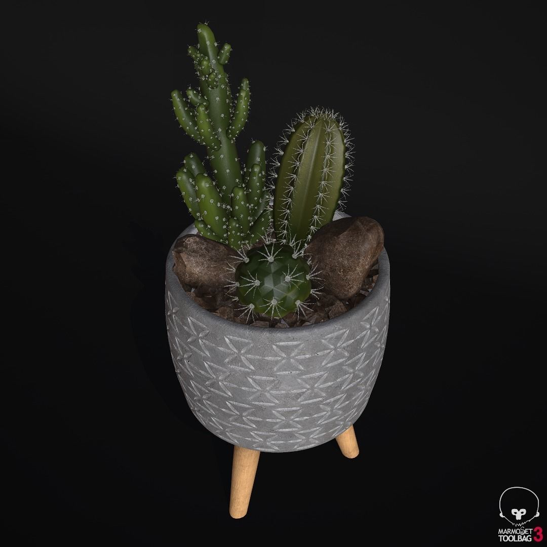 Realistic Cactus Prop 3D model | CGTrader
