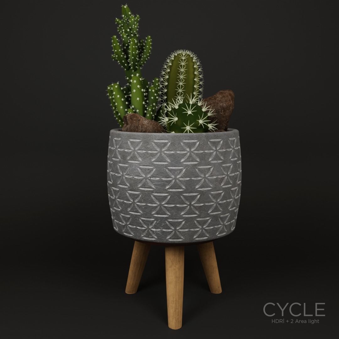 Realistic Cactus Prop 3D model | CGTrader