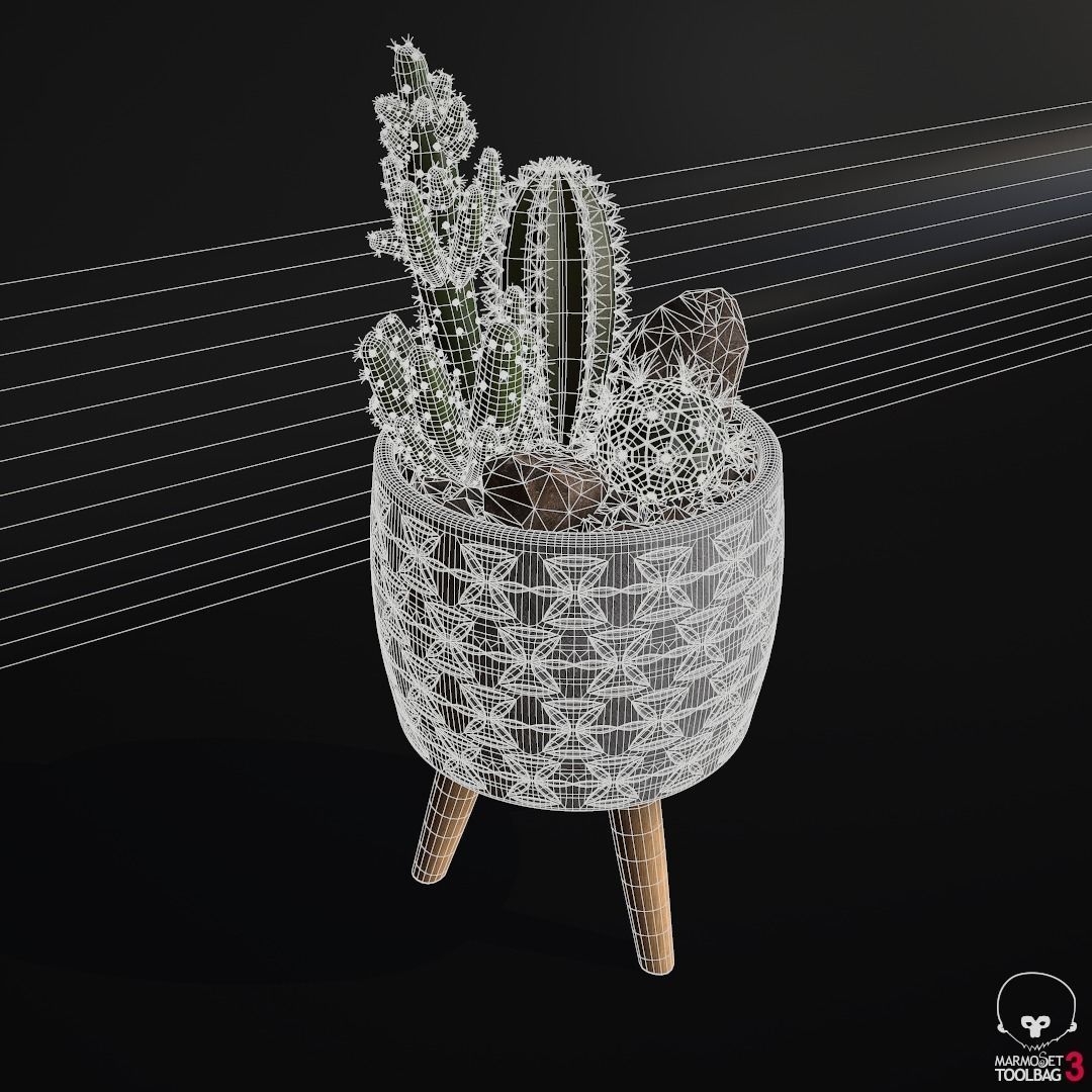 Realistic Cactus Prop 3D model | CGTrader
