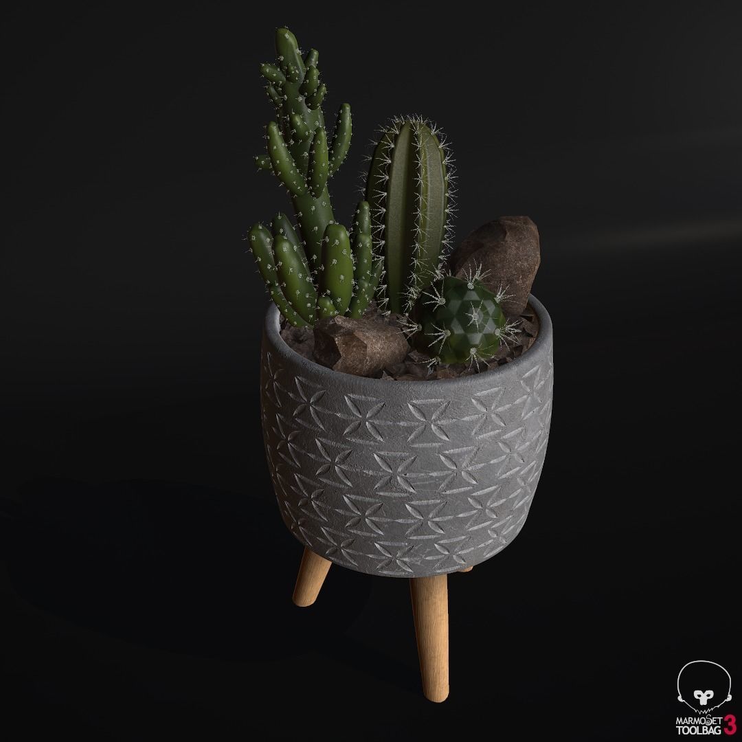 Realistic Cactus Prop 3D model | CGTrader