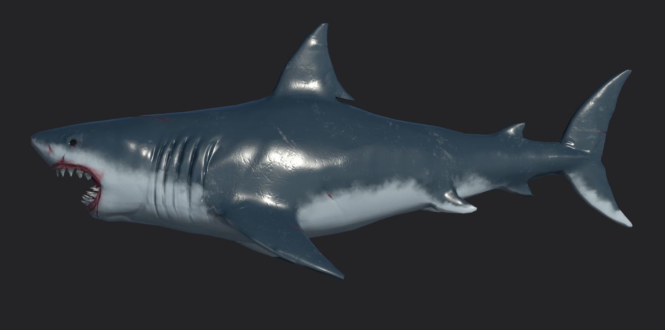 3D model Shark Megalodon VR / AR / low-poly | CGTrader