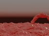 3D model Abnormal apocalyptic floor VR / AR / low-poly | CGTrader