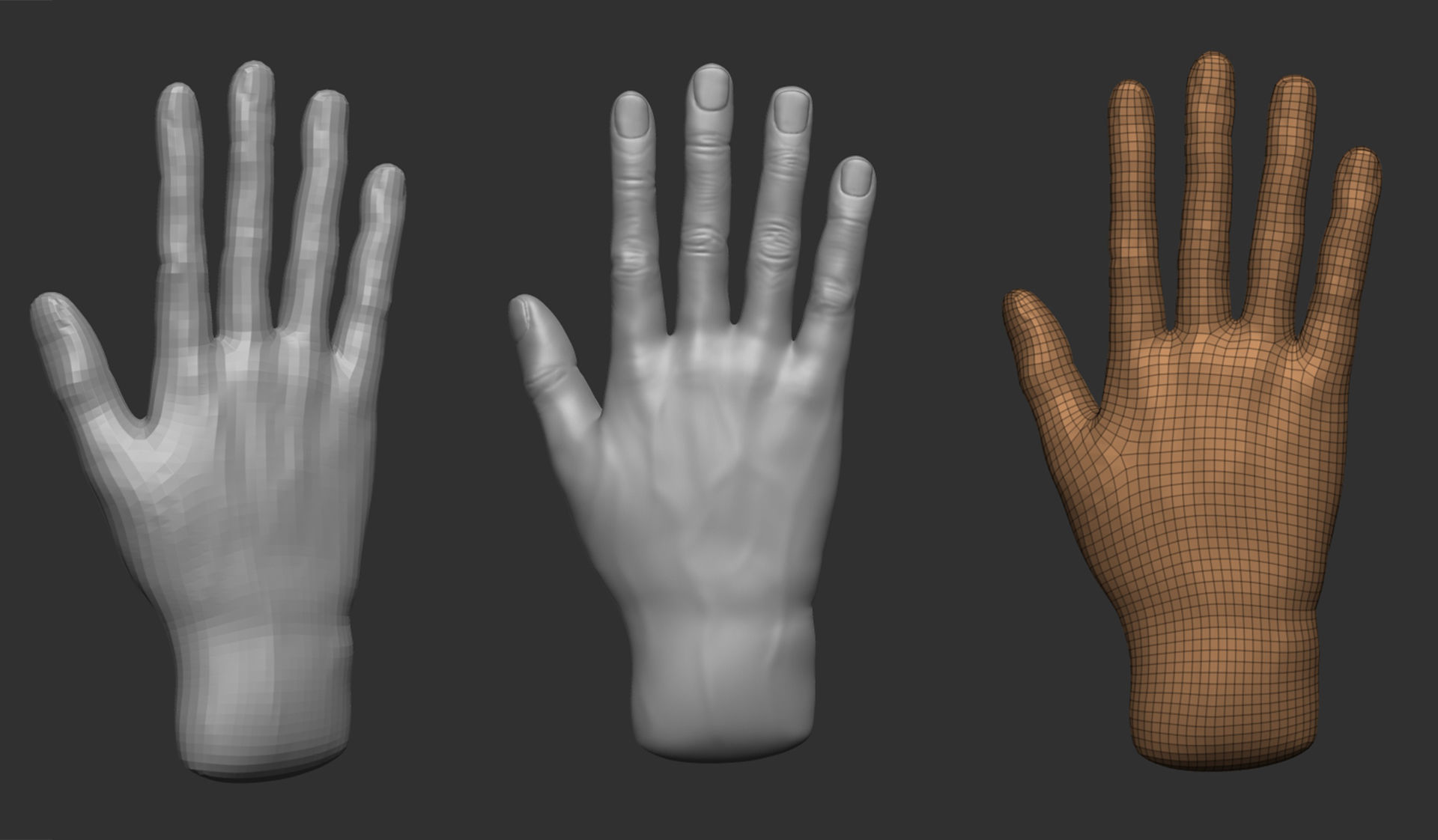 3D model model of a hand in a pose for rigging VR / AR / low-poly ...
