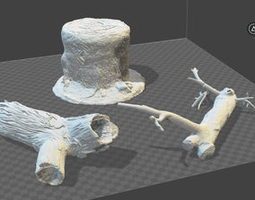 Tree root 3D Print Models | CGTrader