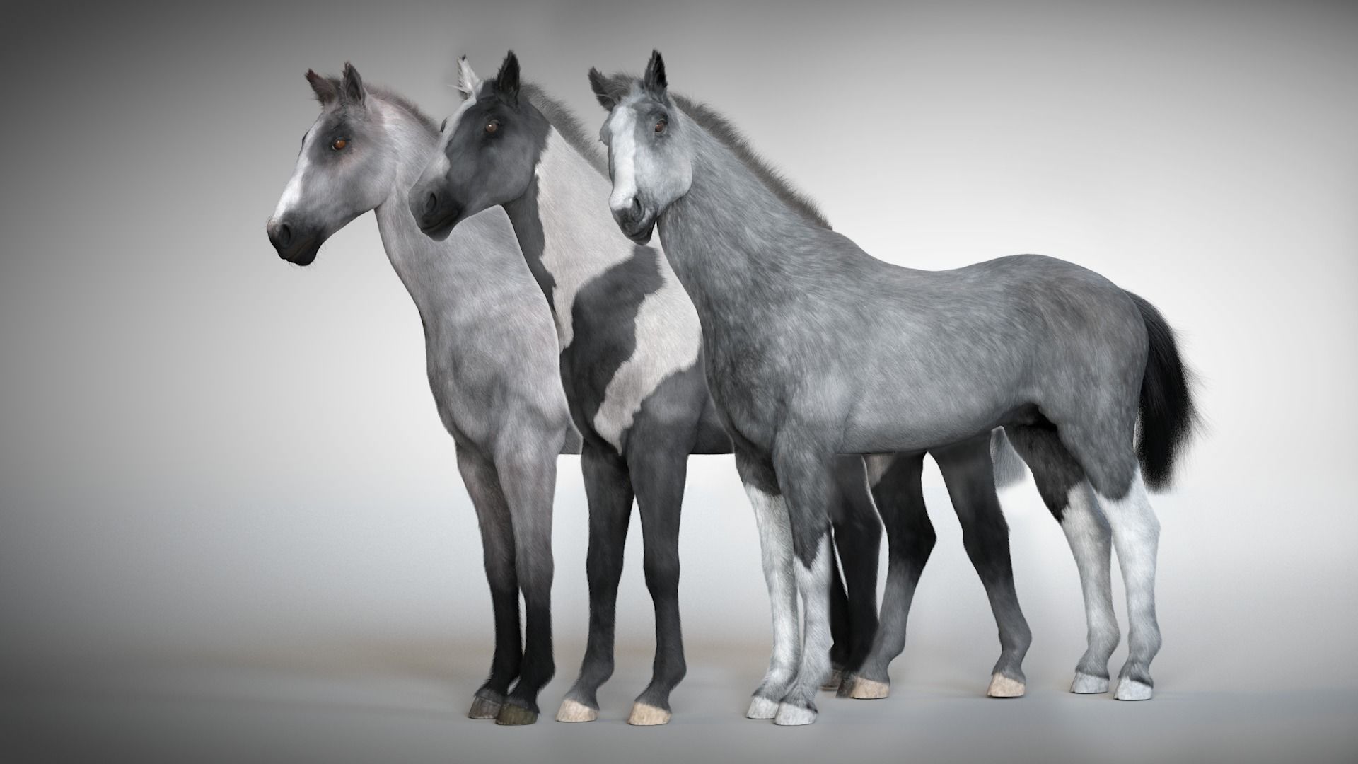 Rigged and Animated Stallion 3D model animated rigged | CGTrader