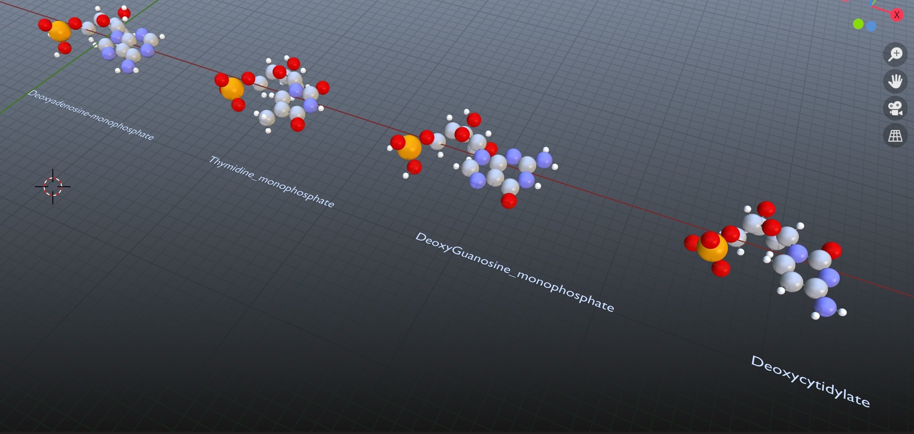 Real DNA Sequence 3D model | CGTrader