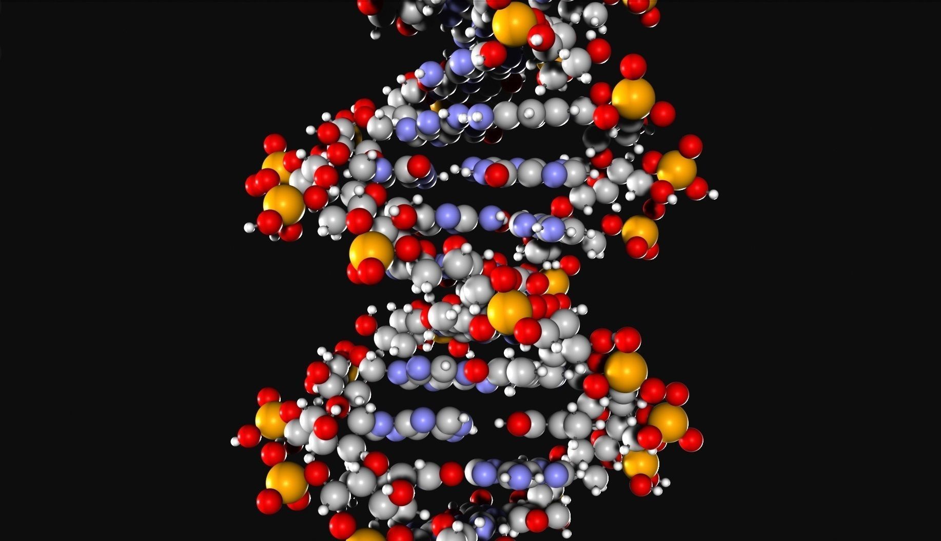 Real DNA Sequence 3D model | CGTrader