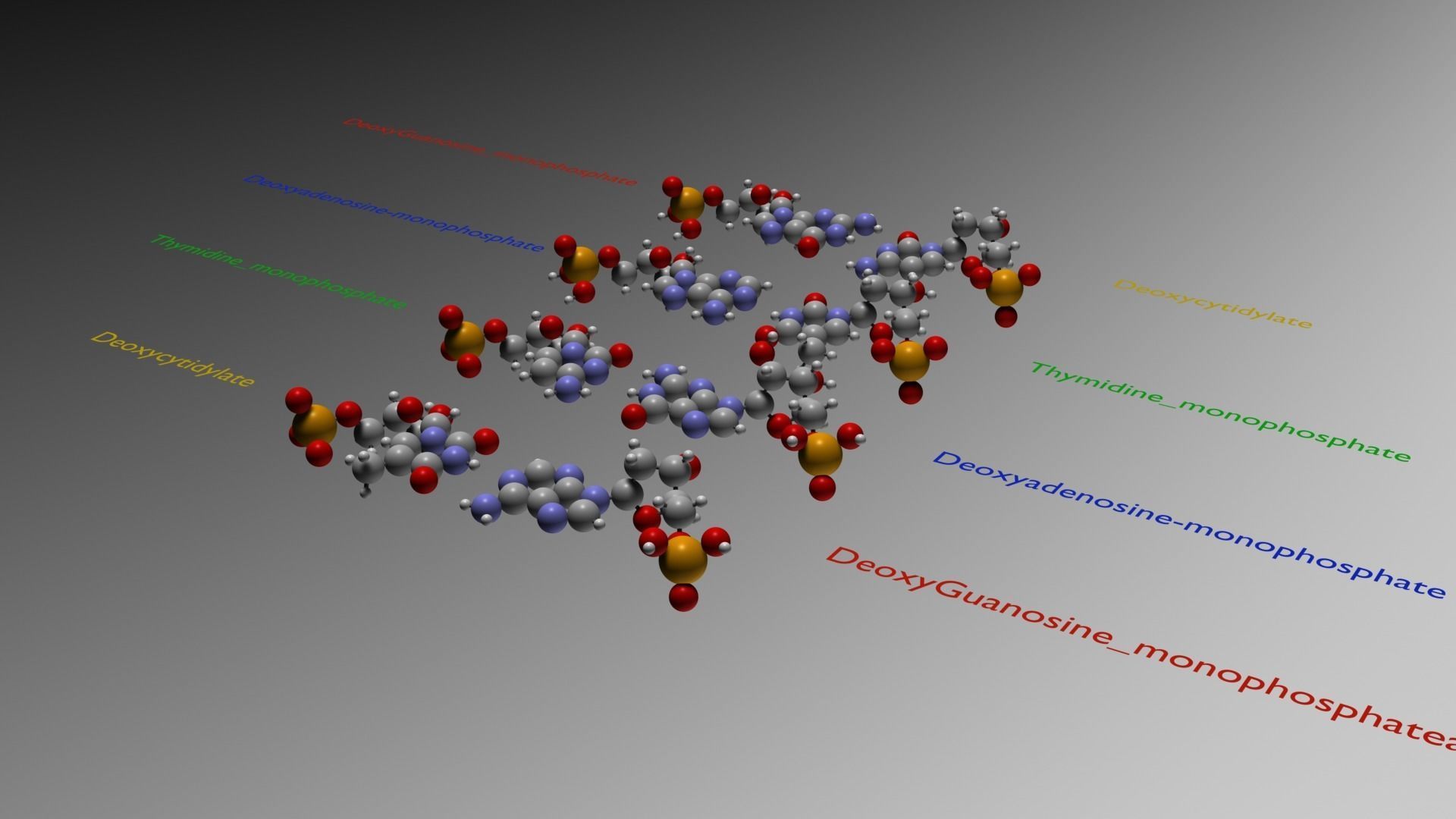 Real DNA Sequence 3D model | CGTrader