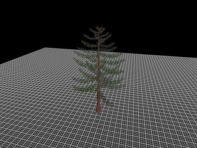 evergreen tree free 3D model | CGTrader