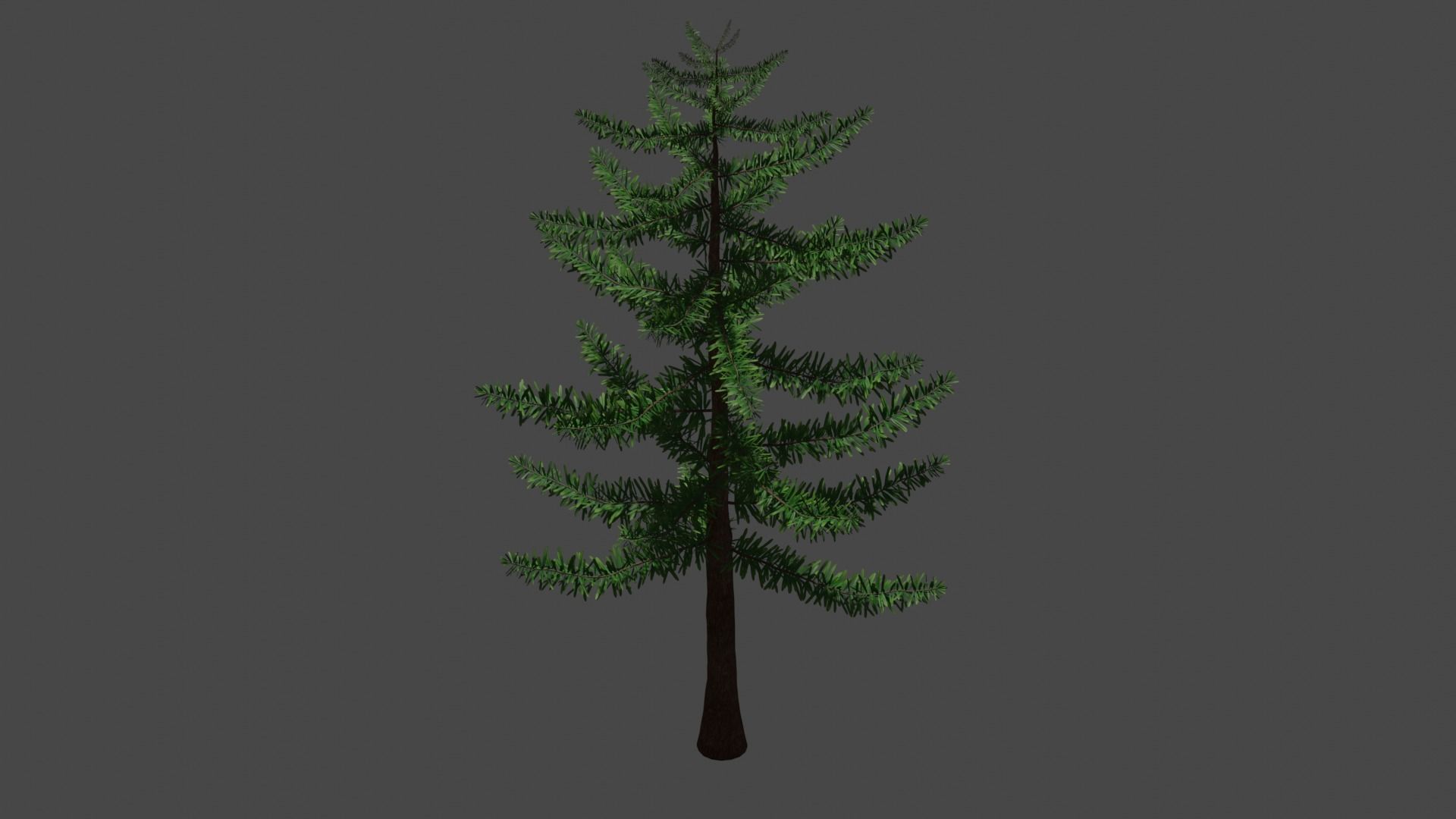 evergreen tree free 3D model | CGTrader