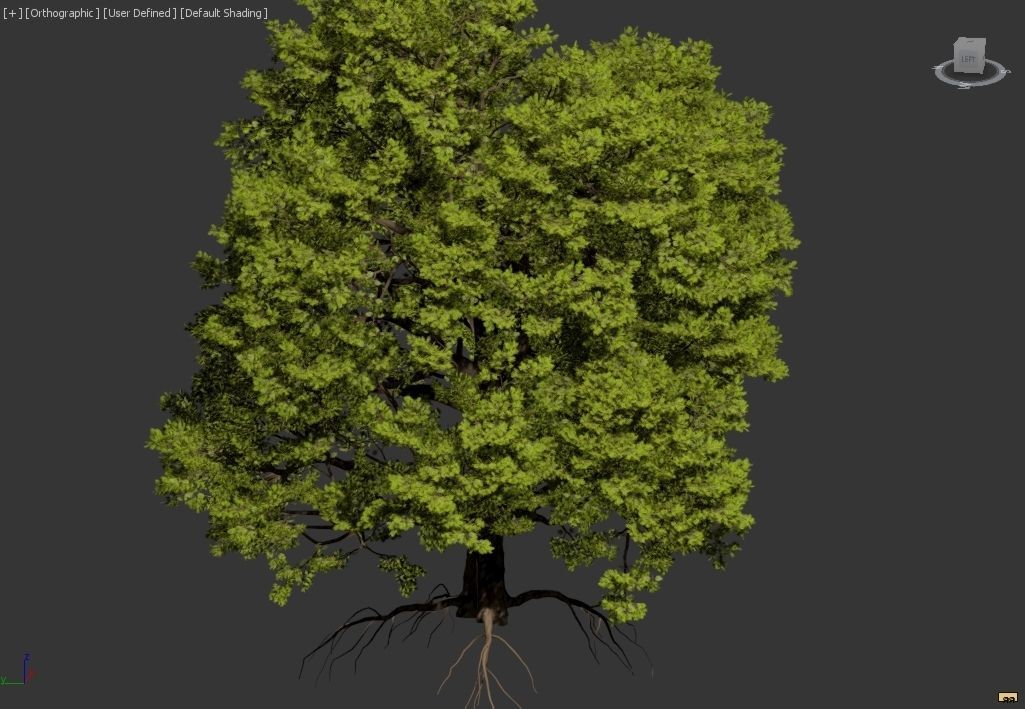 Huge tree 3D model | CGTrader