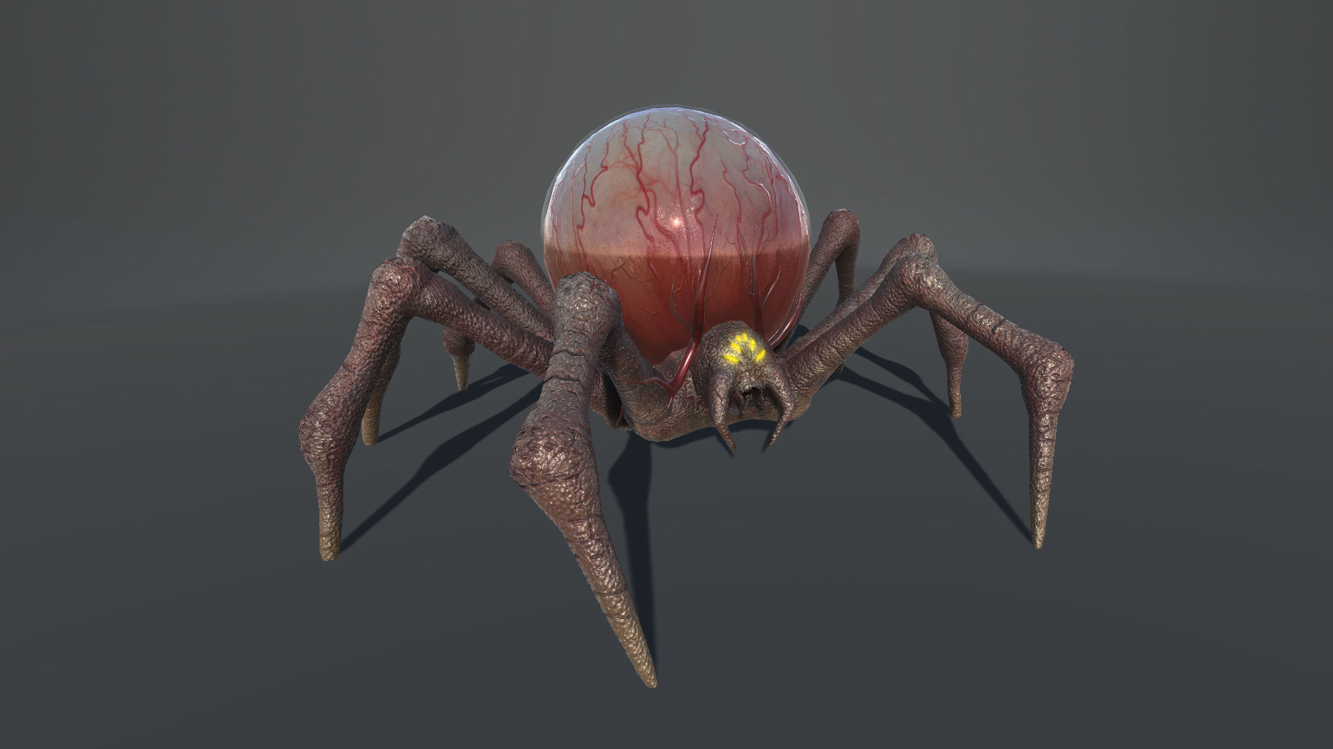 3D model SpideEye spider with eye VR / AR / low-poly rigged animated ...