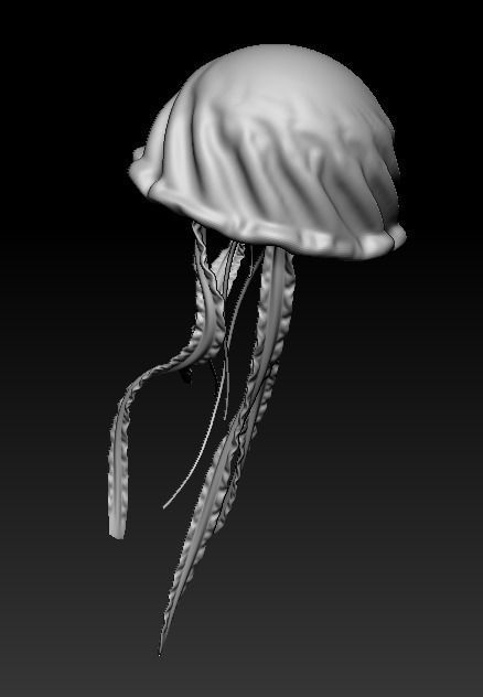 Jellyfish Deep Ocean Creature Base Mesh 3D model | CGTrader