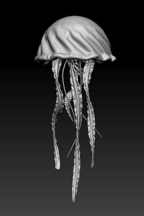 Jellyfish Deep Ocean Creature Base Mesh 3D model | CGTrader