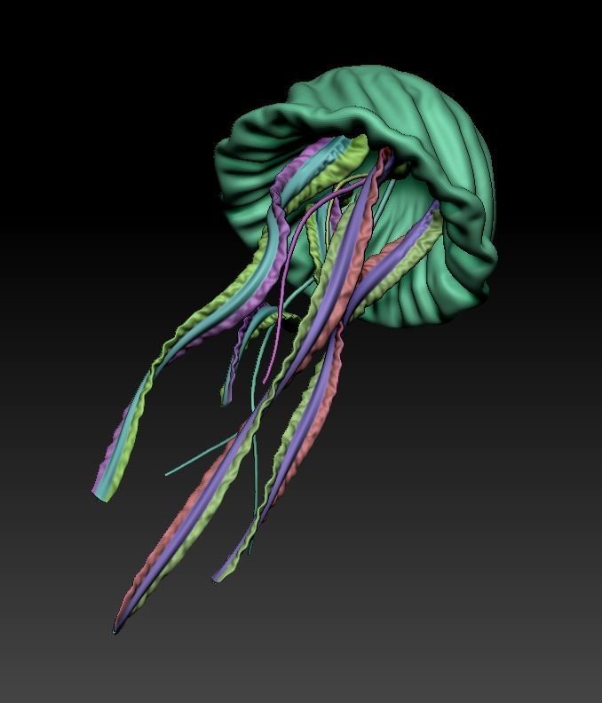 Jellyfish Deep Ocean Creature Base Mesh 3D model | CGTrader