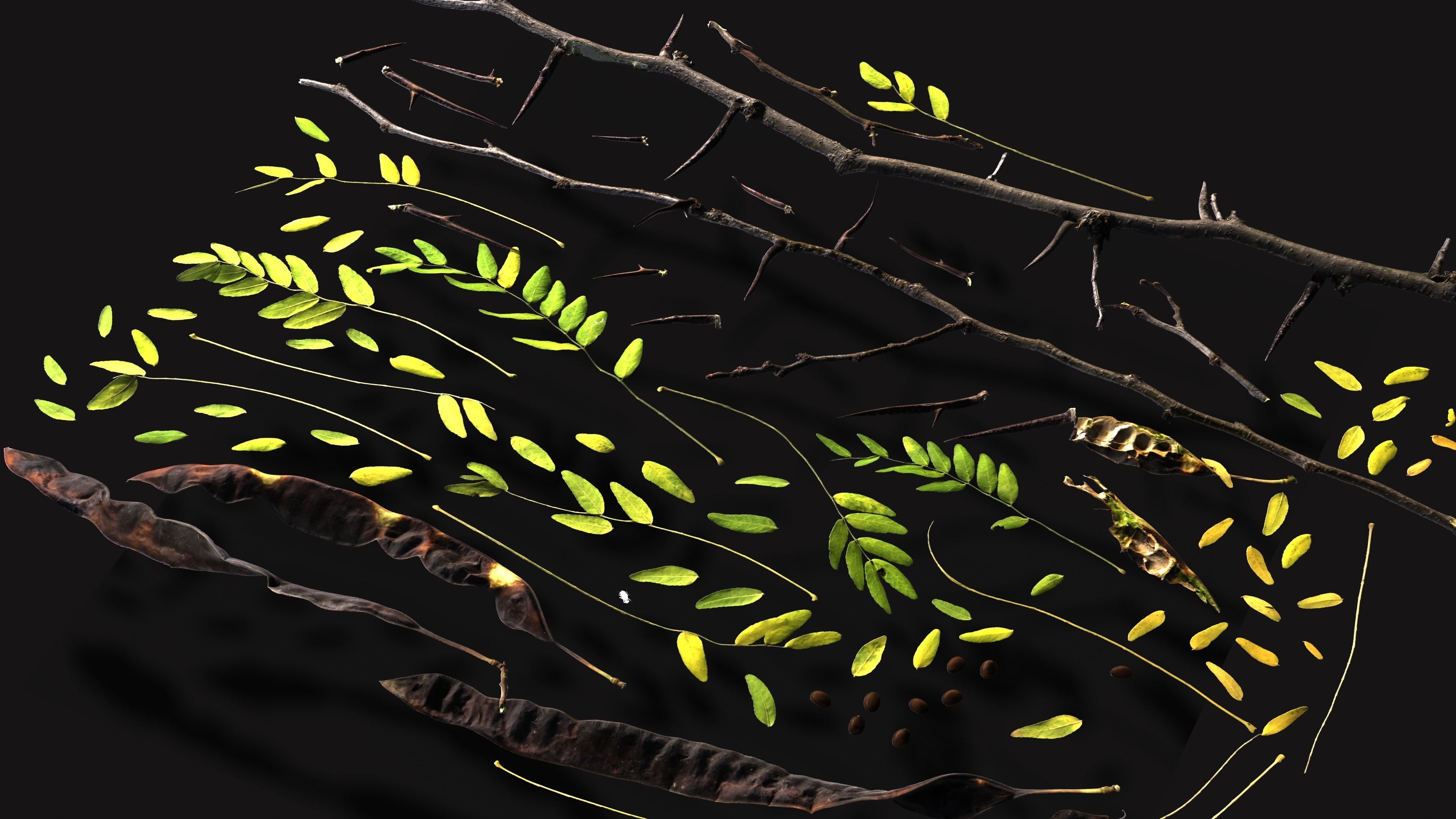 Huge 6K atlas pack - 40 types - 16 bit Texture | CGTrader