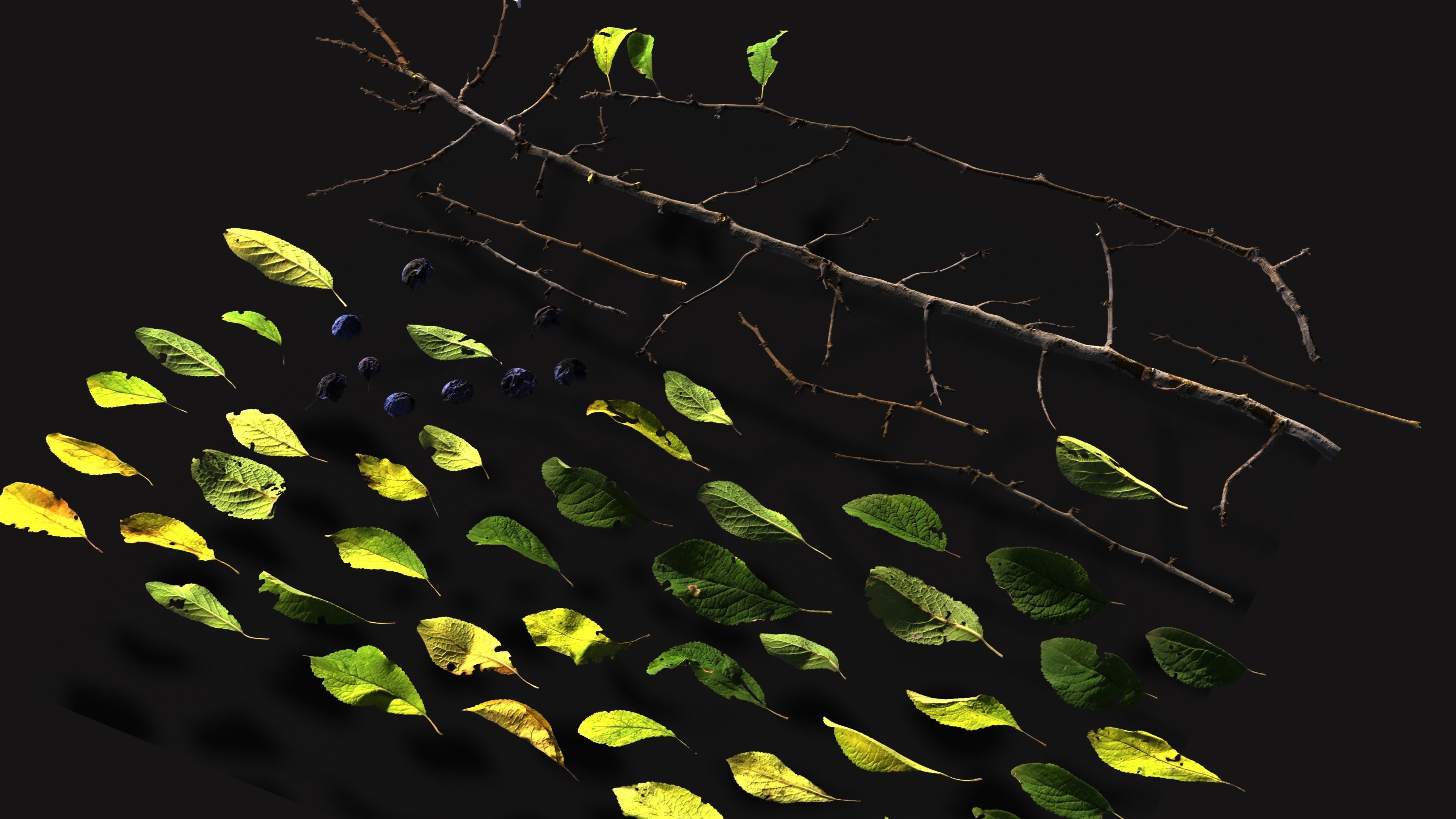 Huge 6K atlas pack - 40 types - 16 bit Texture | CGTrader