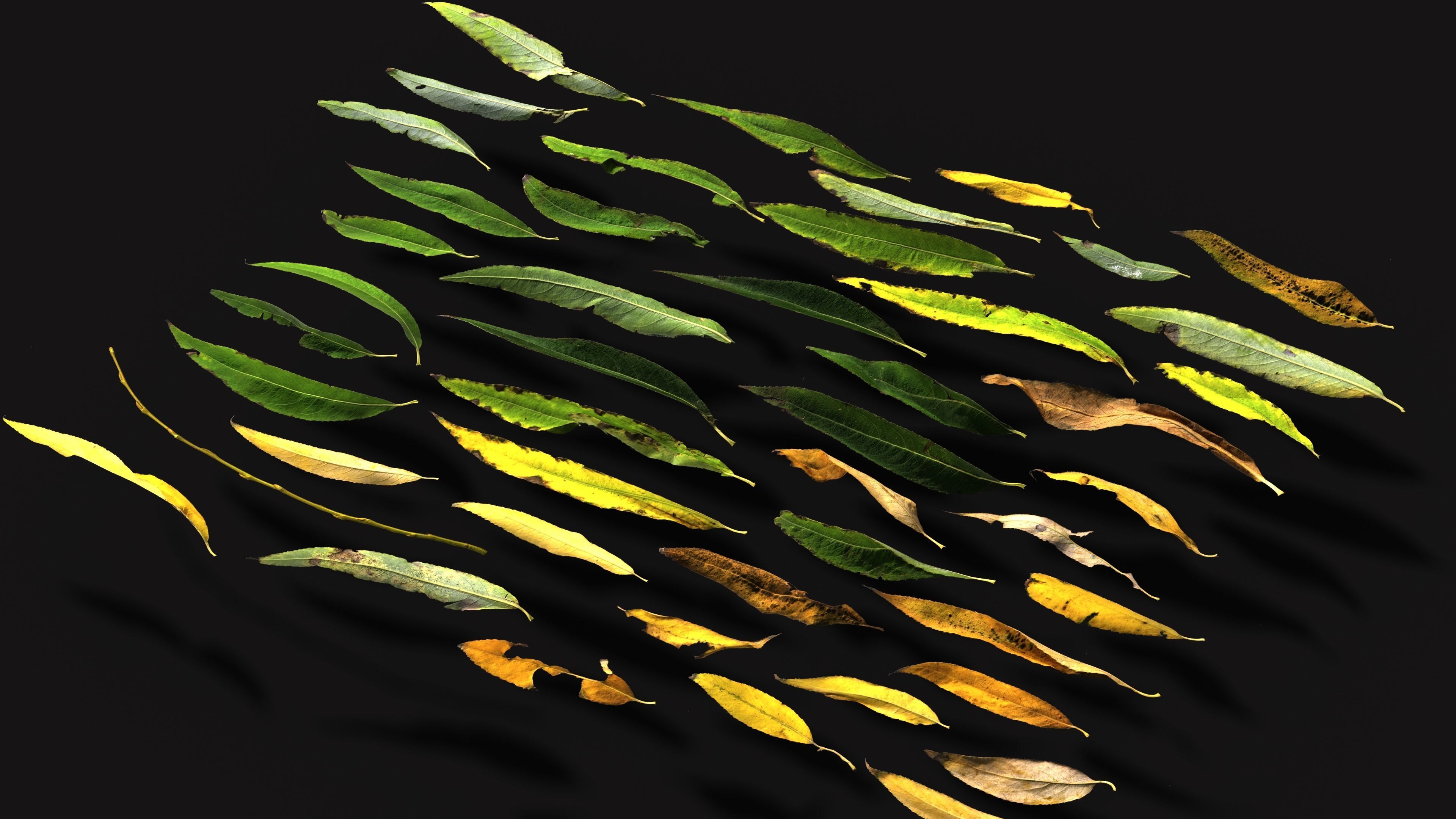 Huge 6K atlas pack - 40 types - 16 bit Texture | CGTrader