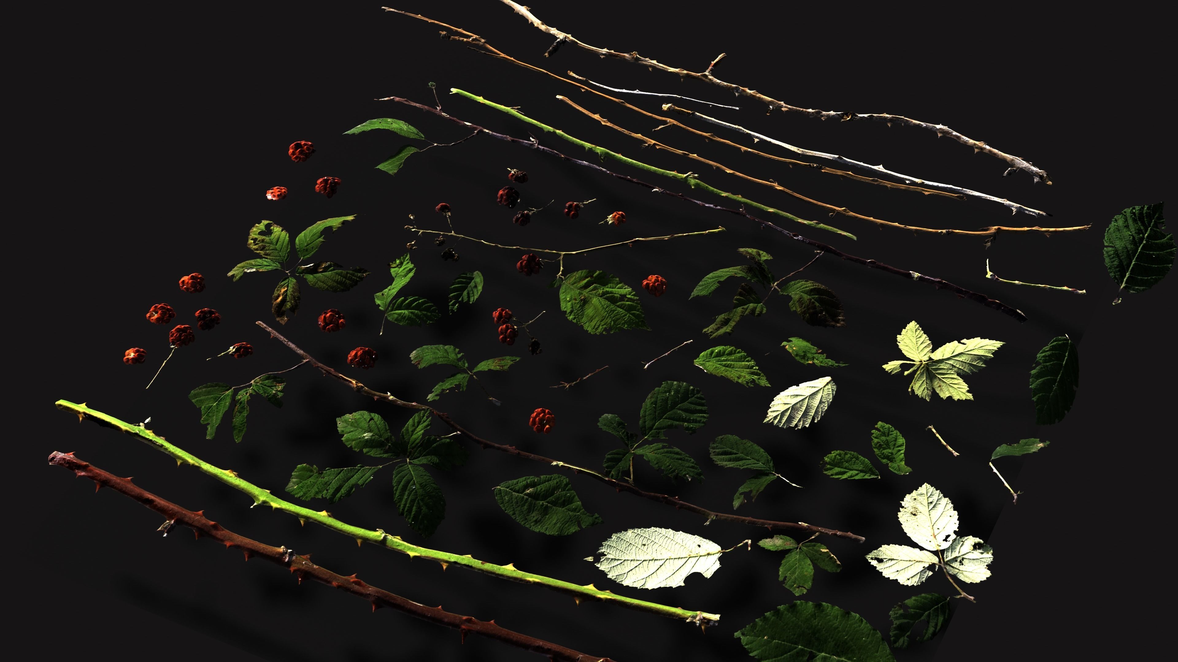 Huge 6K atlas pack - 40 types - 16 bit Texture | CGTrader