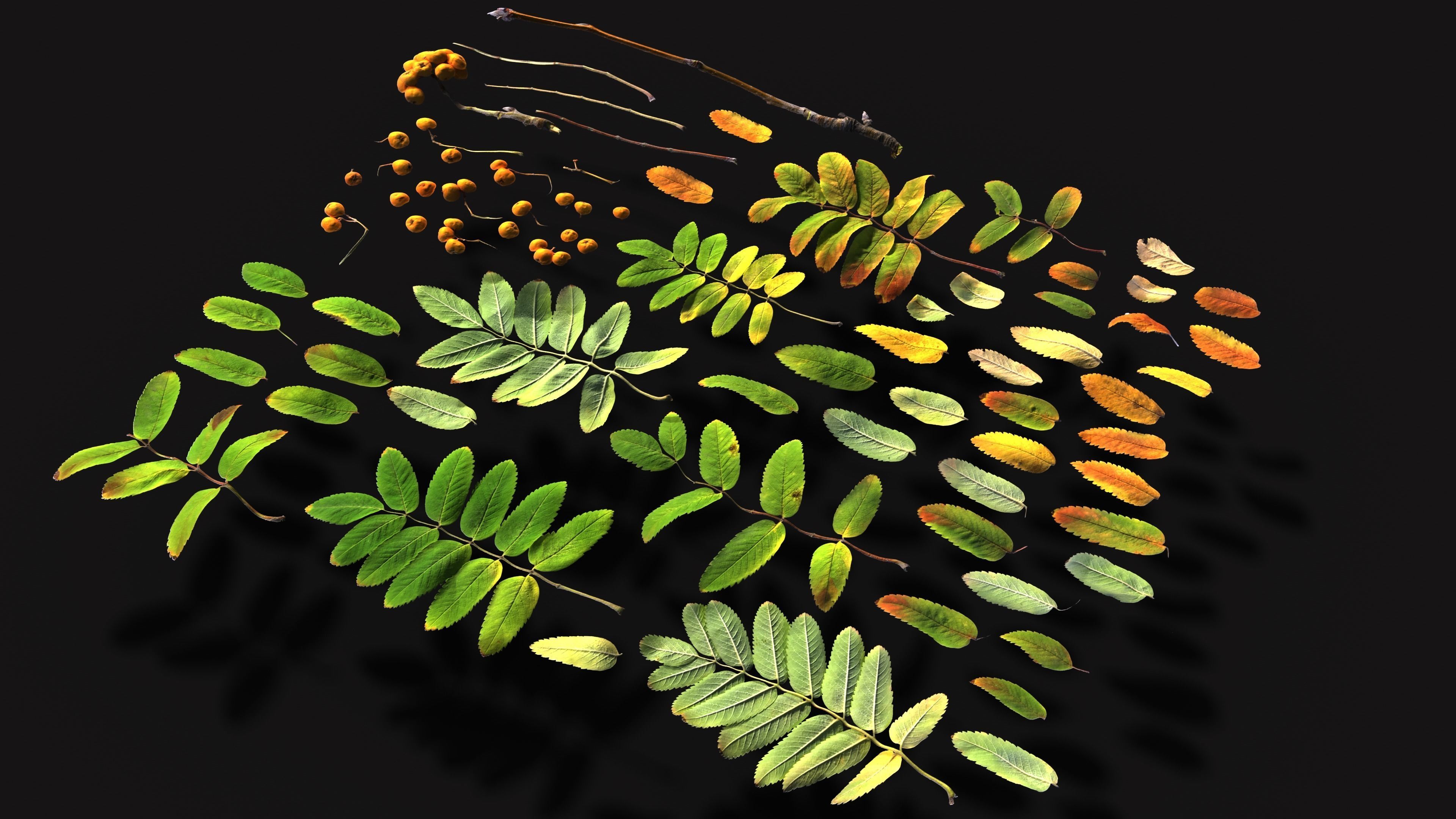 Huge 6K atlas pack - 40 types - 16 bit Texture | CGTrader