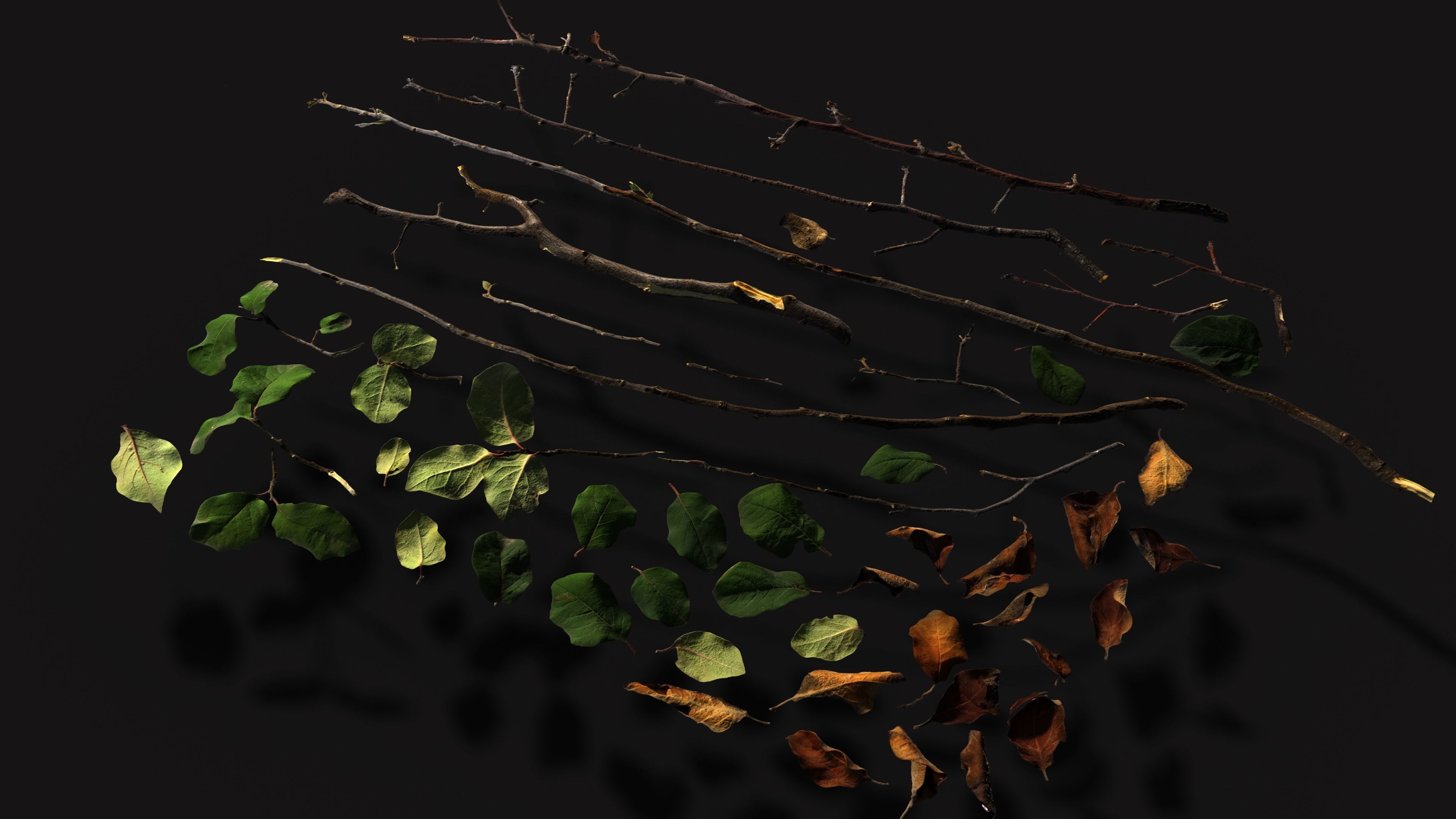 Huge 6K atlas pack - 40 types - 16 bit Texture | CGTrader