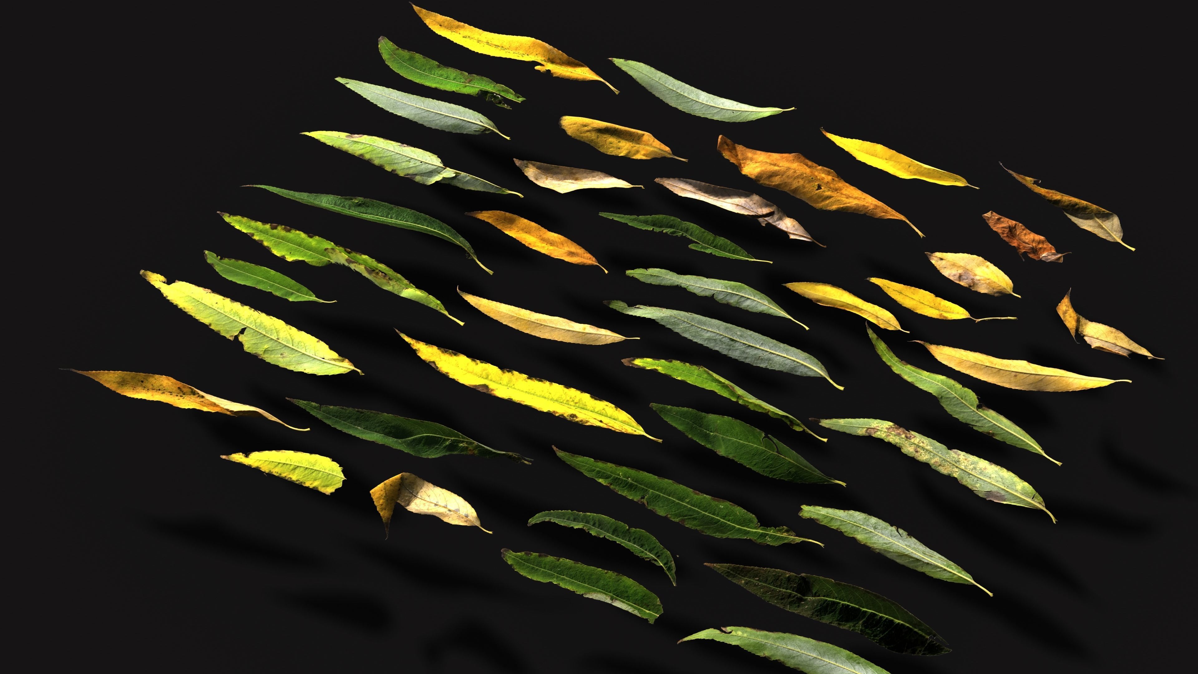 Huge 6K atlas pack - 40 types - 16 bit Texture | CGTrader