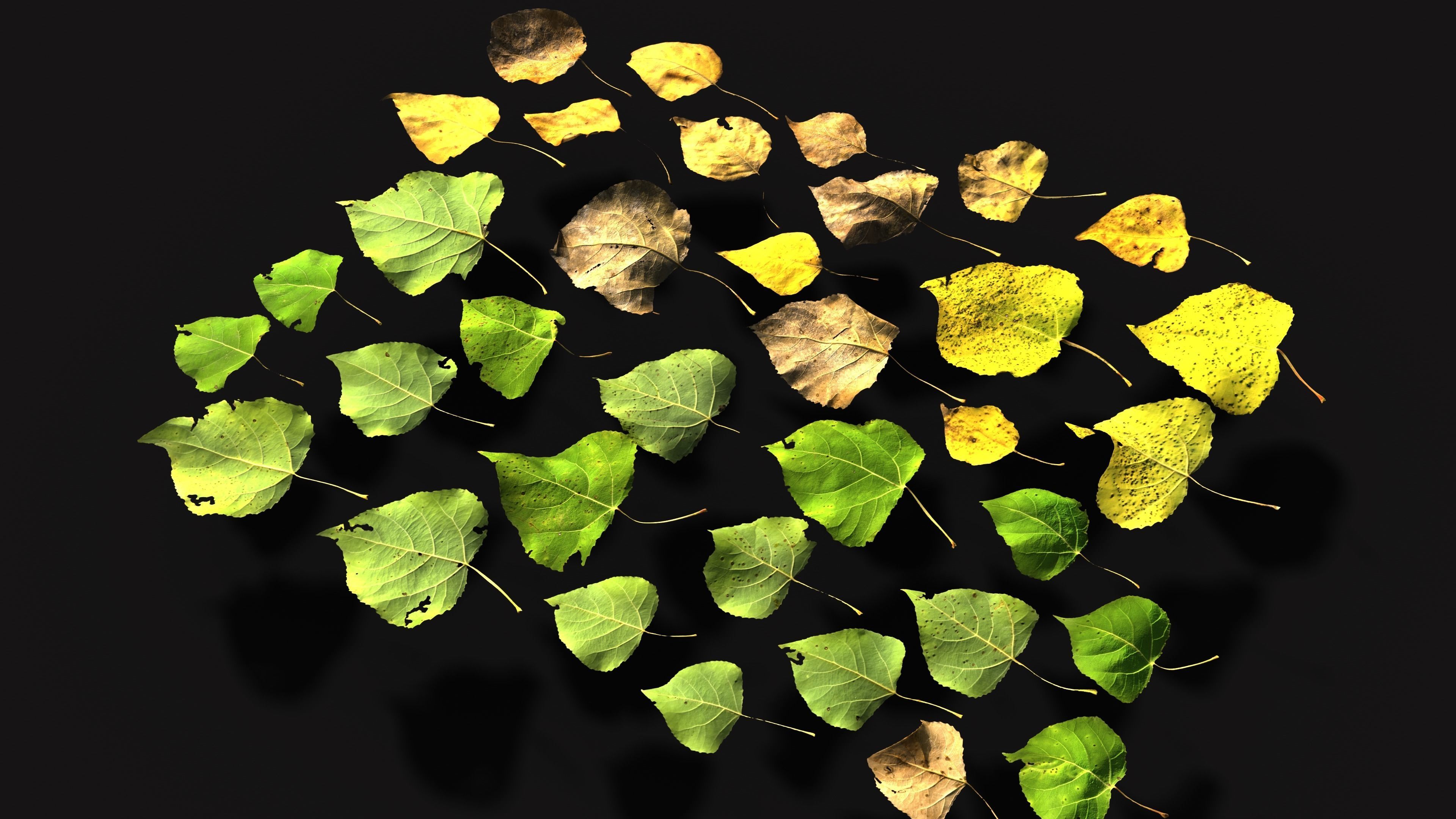 Huge 6K atlas pack - 40 types - 16 bit Texture | CGTrader