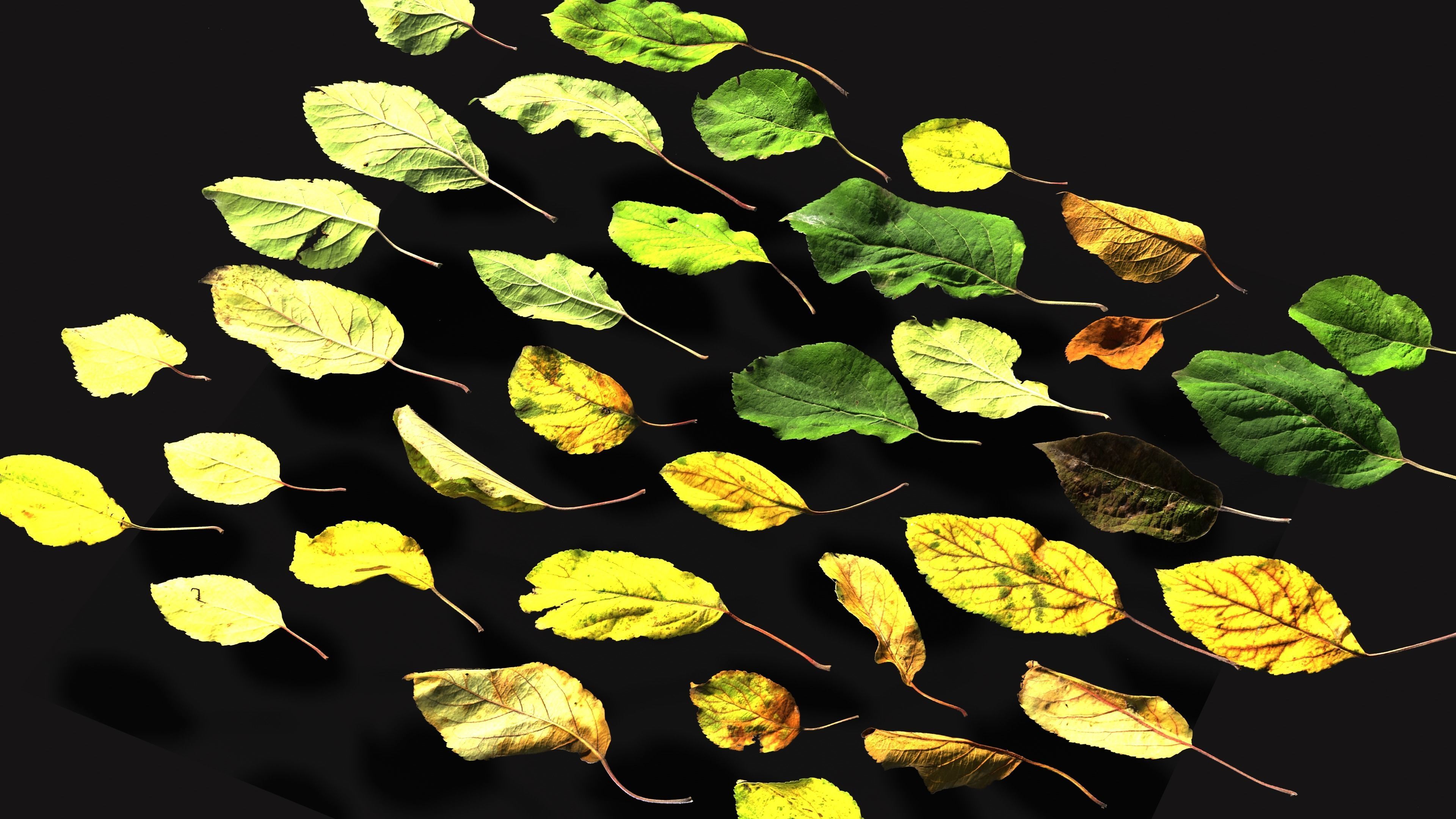 Huge 6K atlas pack - 40 types - 16 bit Texture | CGTrader