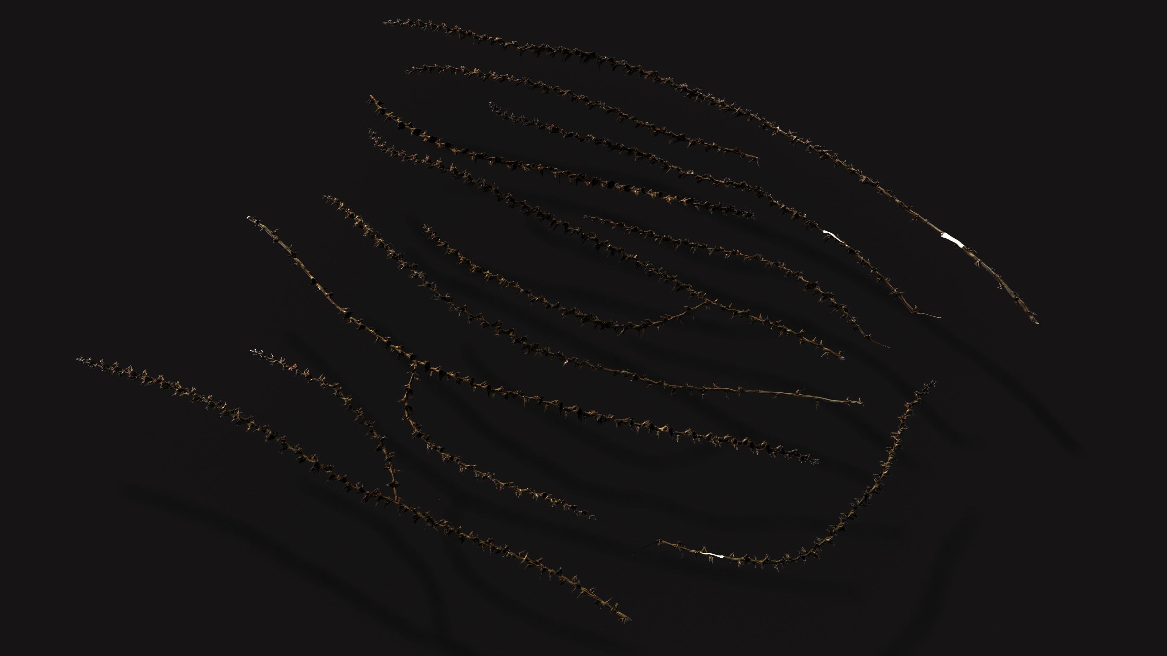 Huge 6K atlas pack - 40 types - 16 bit Texture | CGTrader