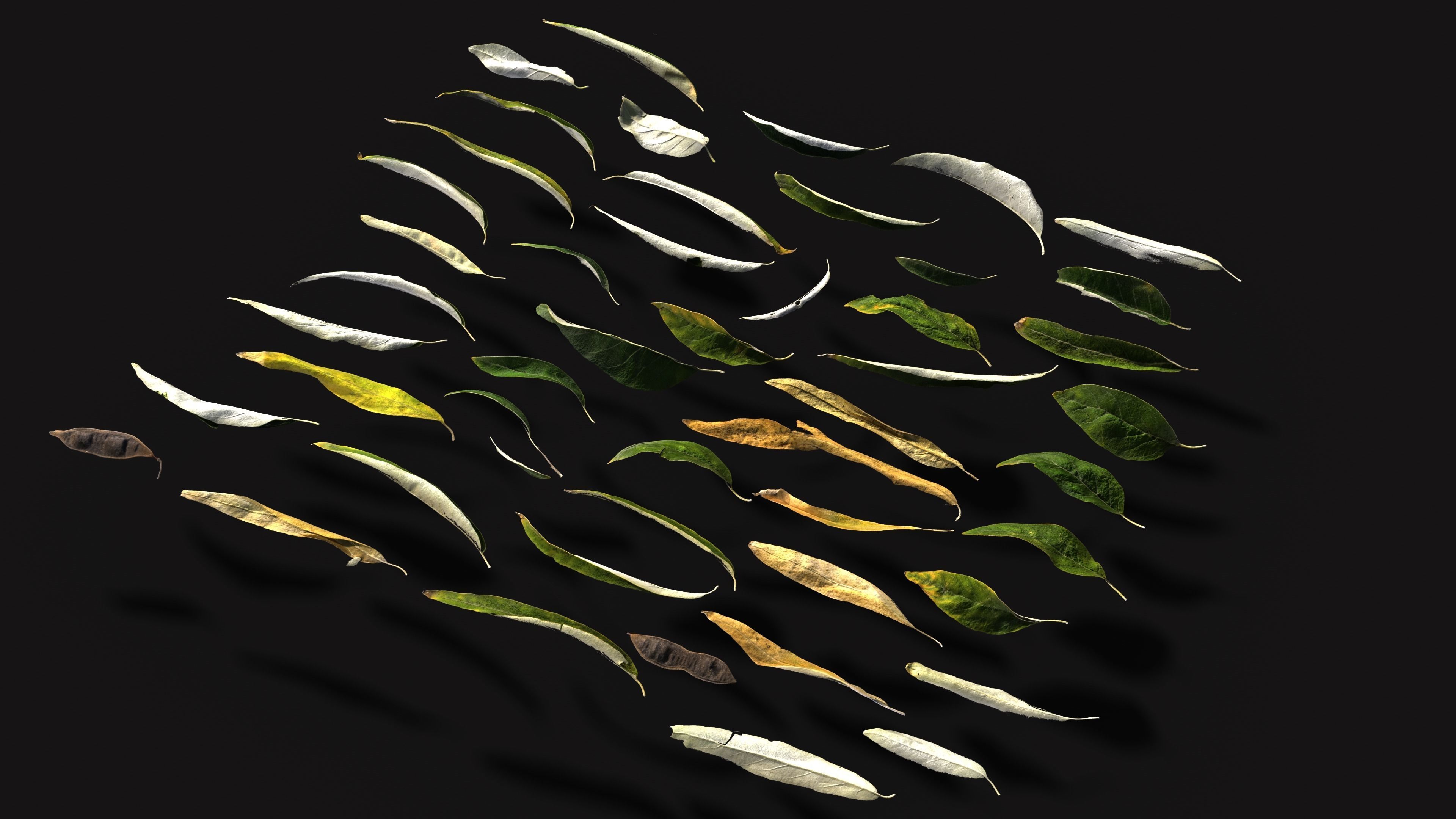 Huge 6K atlas pack - 40 types - 16 bit Texture | CGTrader